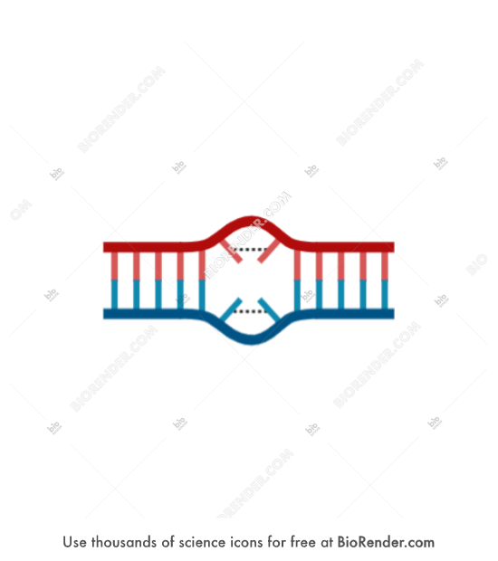 Free DNA (bulky lesion, with crosslinks) Icons, Symbols & Images ...