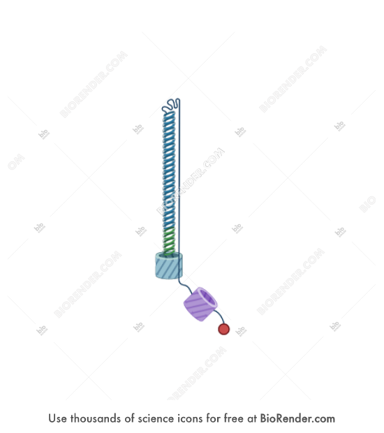 Free Type 5 secretion system Icons, Symbols & Images | BioRender