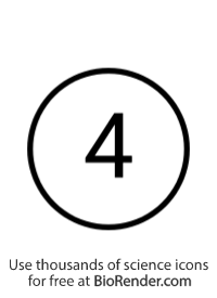Free Number label (04) Icons, Symbols & Images | BioRender