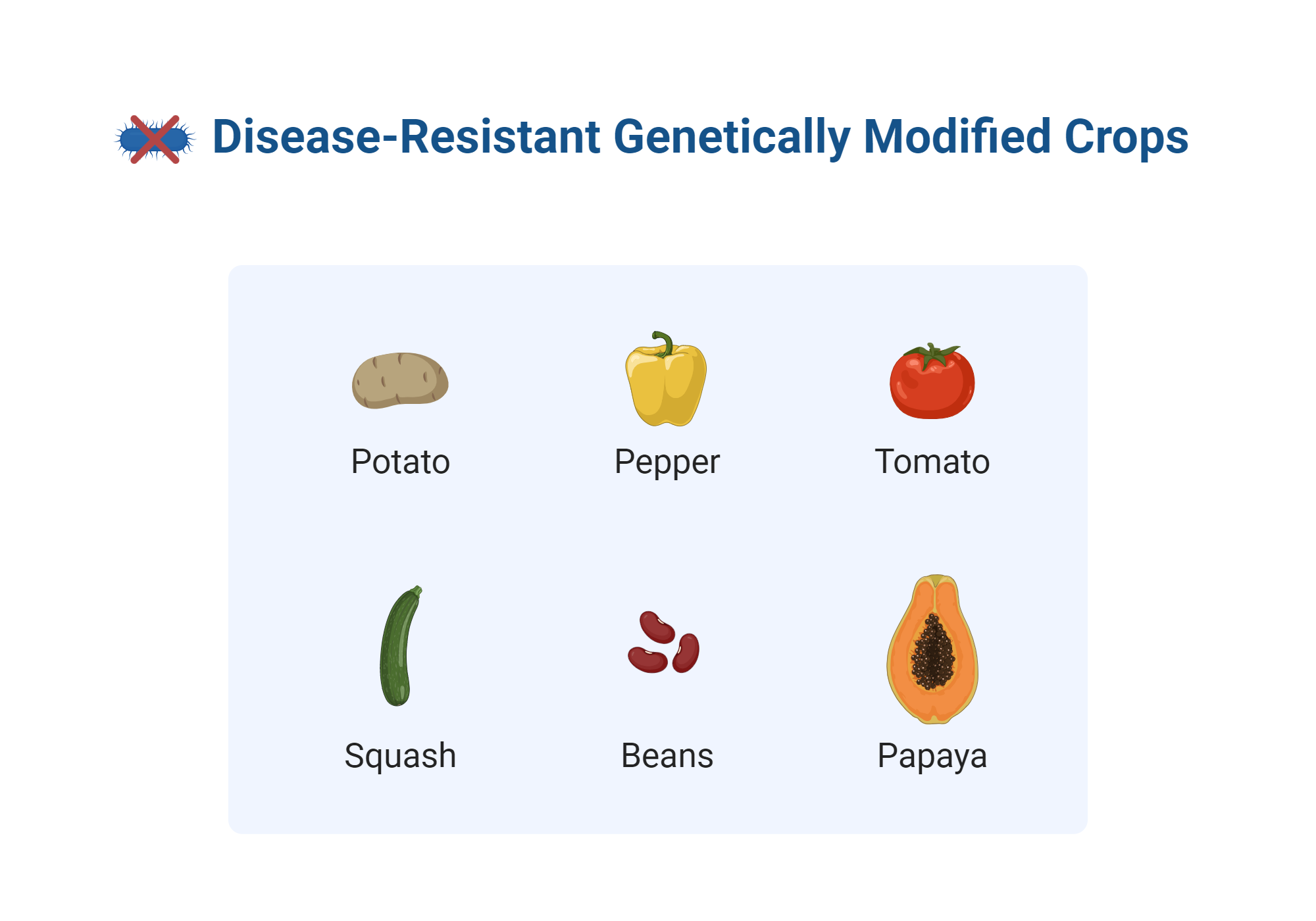 Disease-Resistant Genetically Modified Crops | BioRender Science Templates Disease-Resistant Genetically Modified Crops | BioRender Science Templates