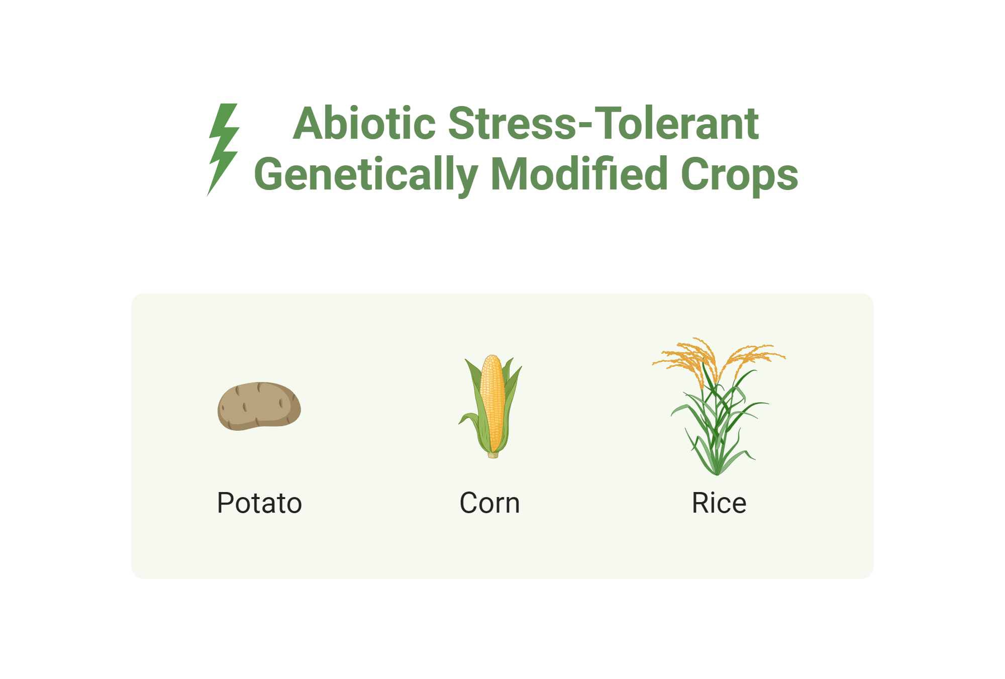 Abiotic Stress-Tolerant Genetically Modified Crops | BioRender Science ...