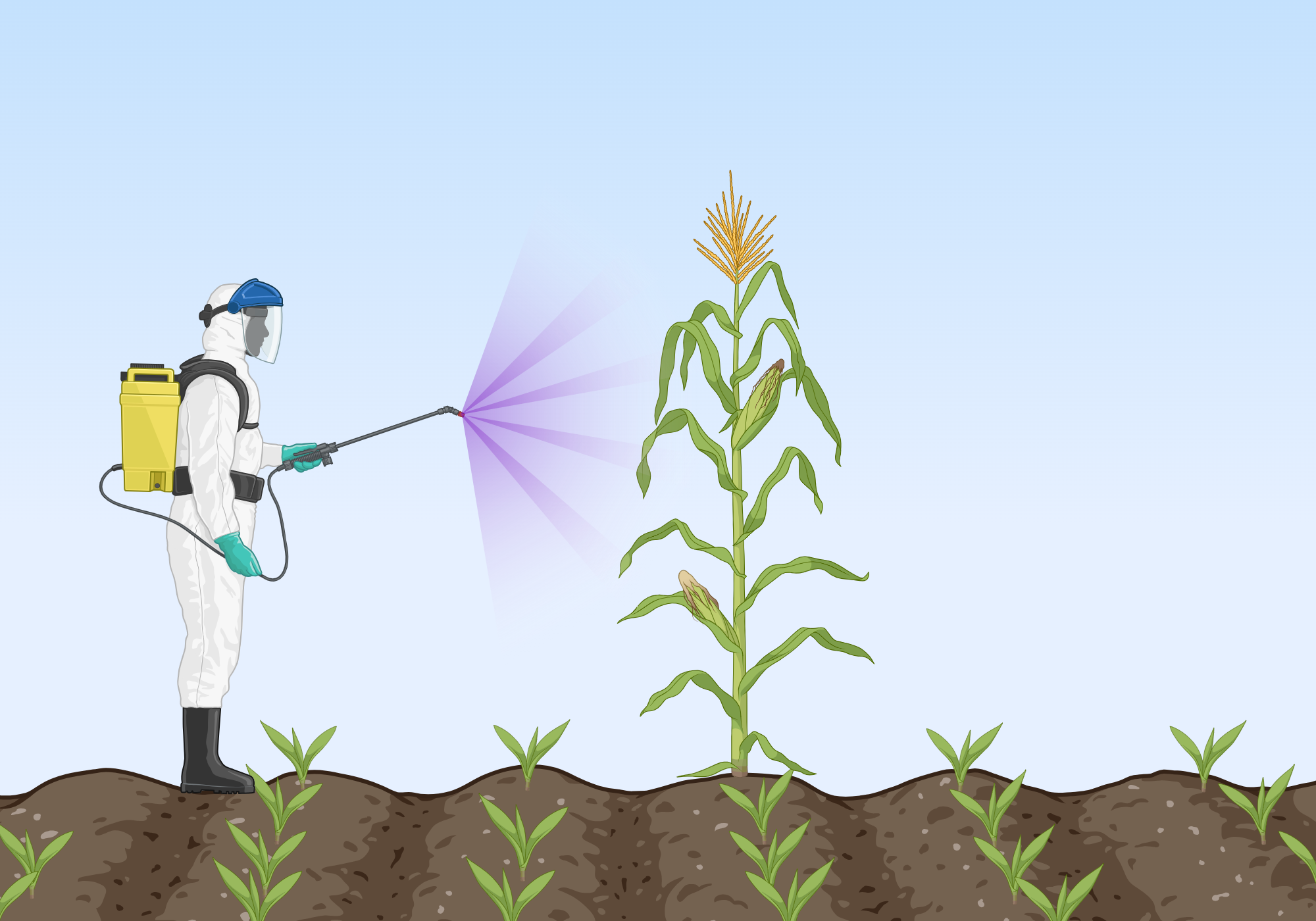 Pesticide Application (Layout) | BioRender Science Templates