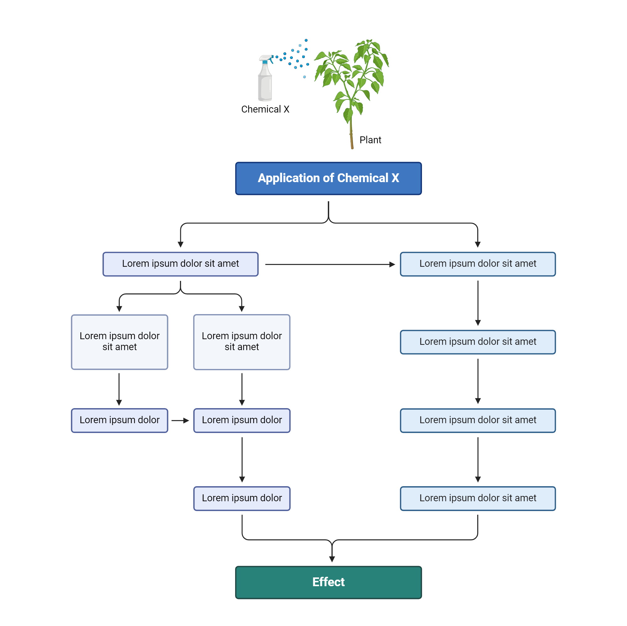 Plant Treatment Flowchart (Layout) | BioRender Science Templates