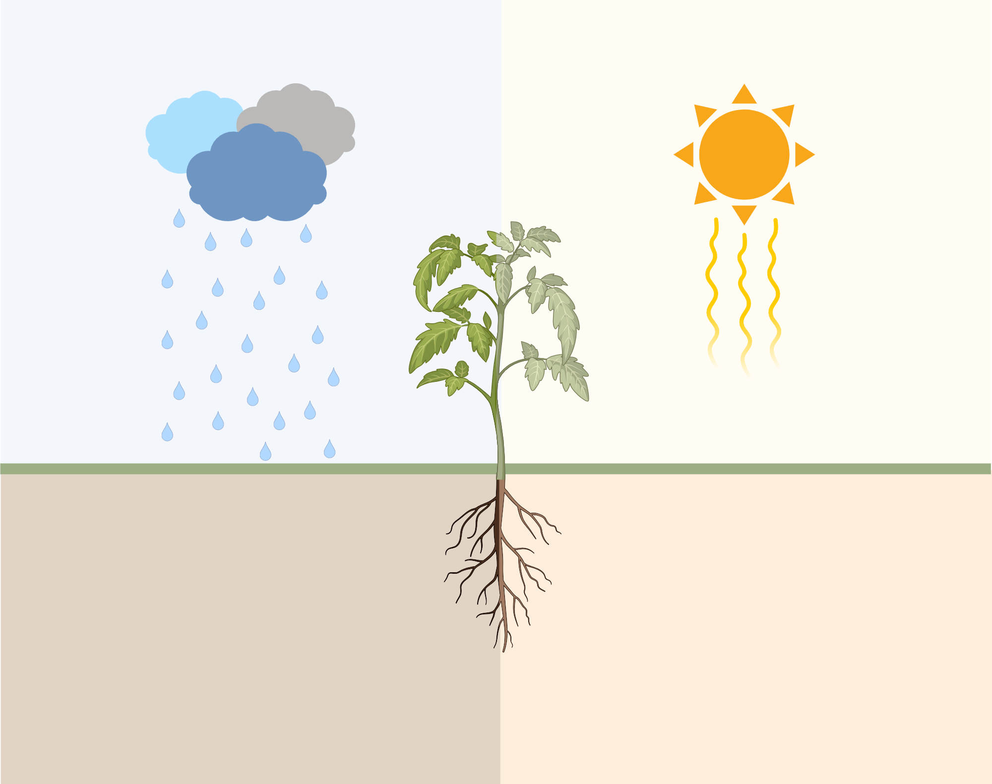 Rainy and Sunny Comparison (Layout) | BioRender Science Templates