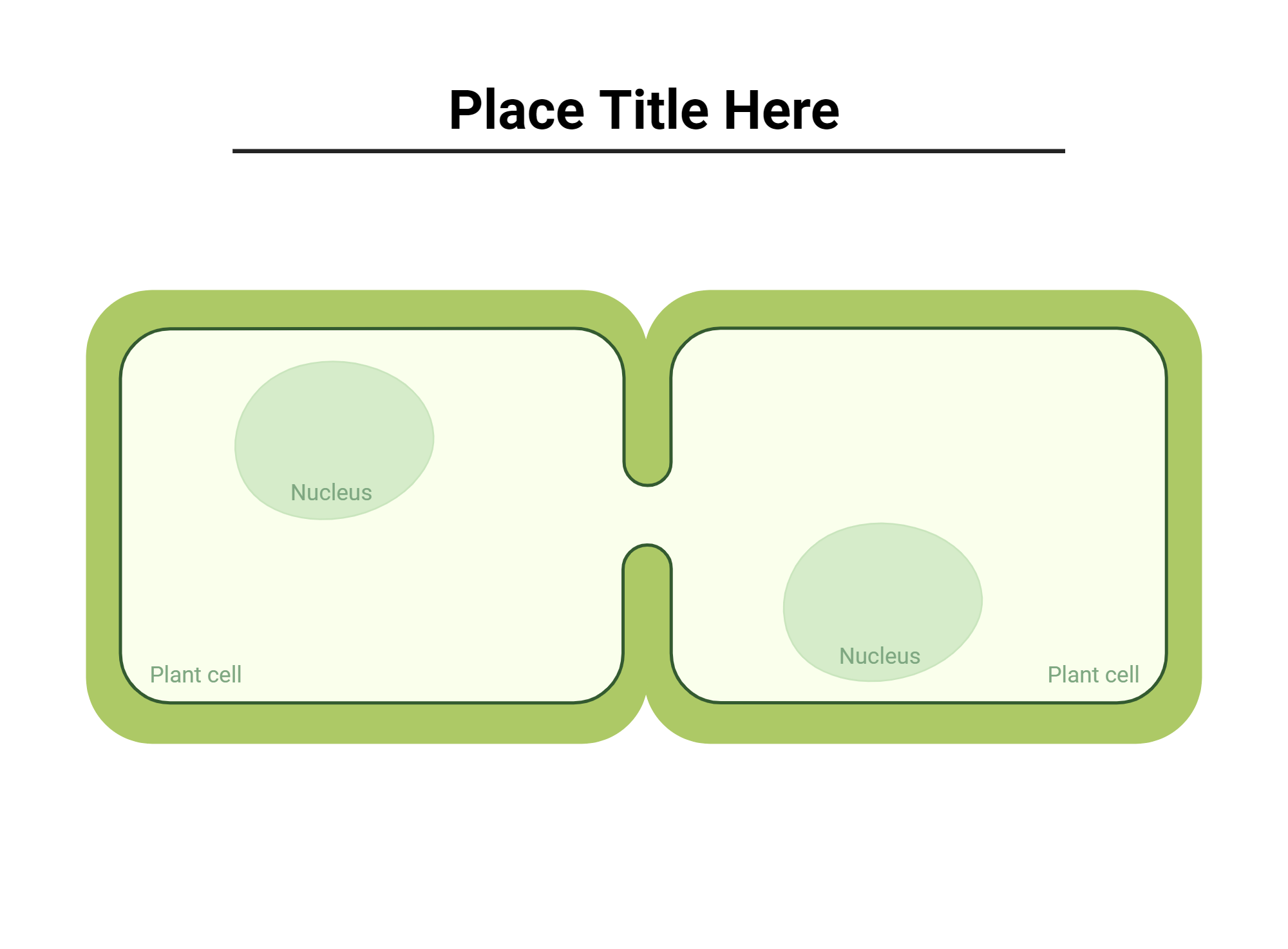 Plant Cell Plasmodesma Structure (Layout) | BioRender Science Templates