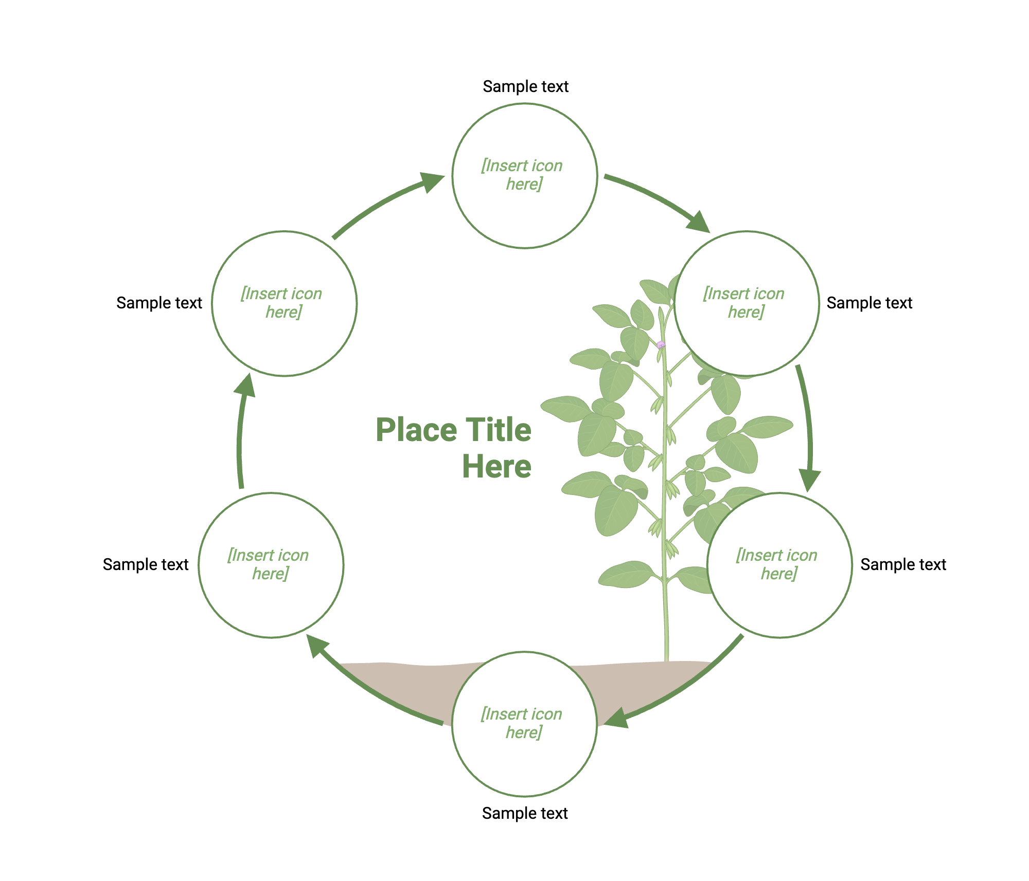 Soybean Plant Circular Pathway with 6 Panels (Layout) | BioRender ...