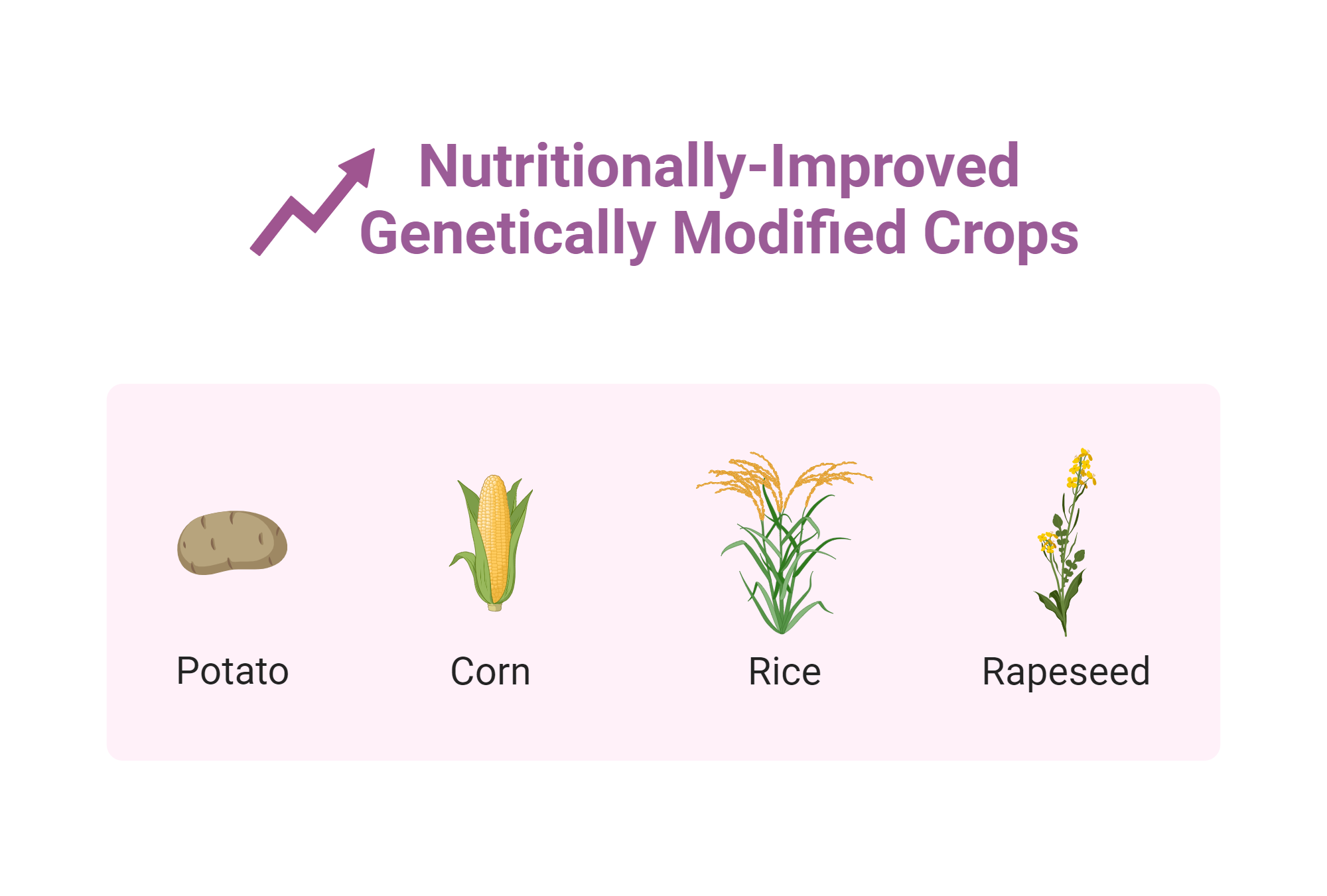 Nutritionally-Improved Genetically Modified Crops | BioRender Science ... Nutritionally-Improved Genetically Modified Crops | BioRender Science ...