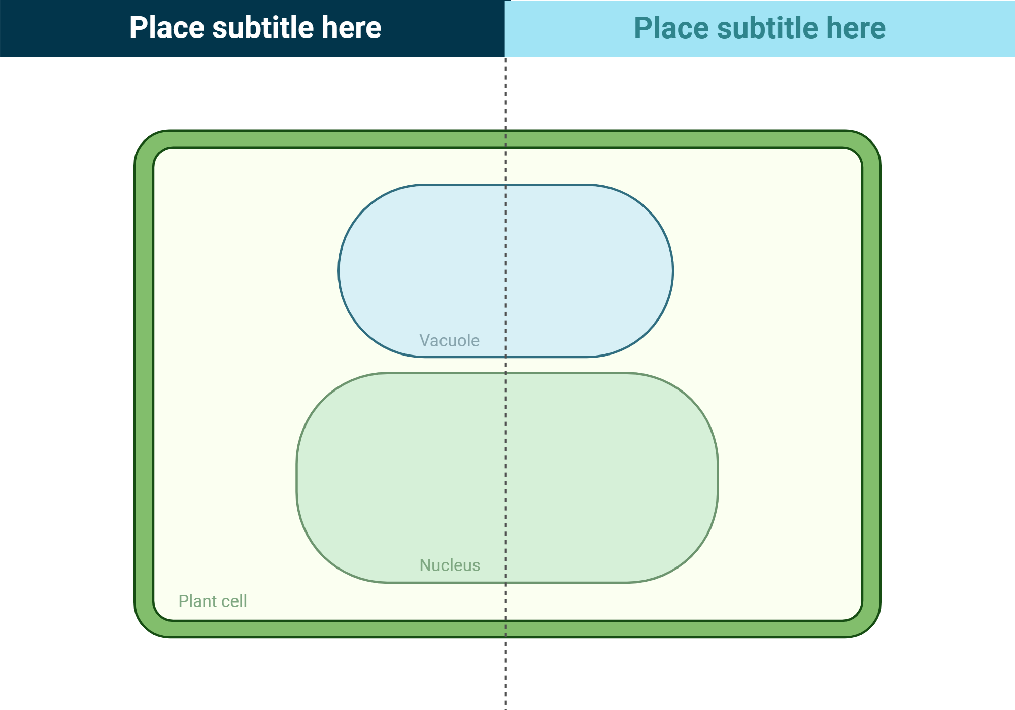 Plant Cell Comparison (Layout) | BioRender Science Templates