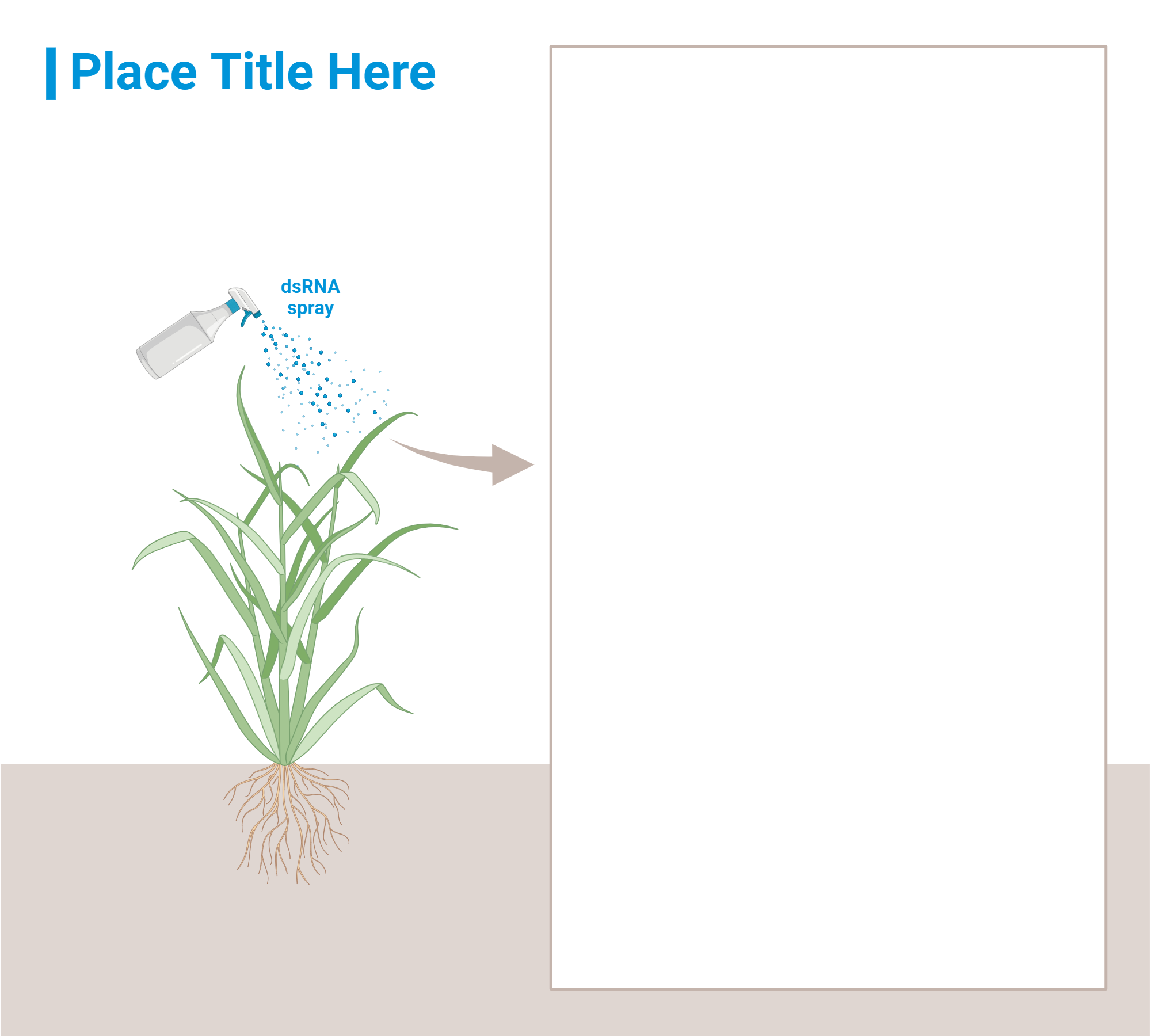 Crop Being Sprayed (Layout) | BioRender Science Templates
