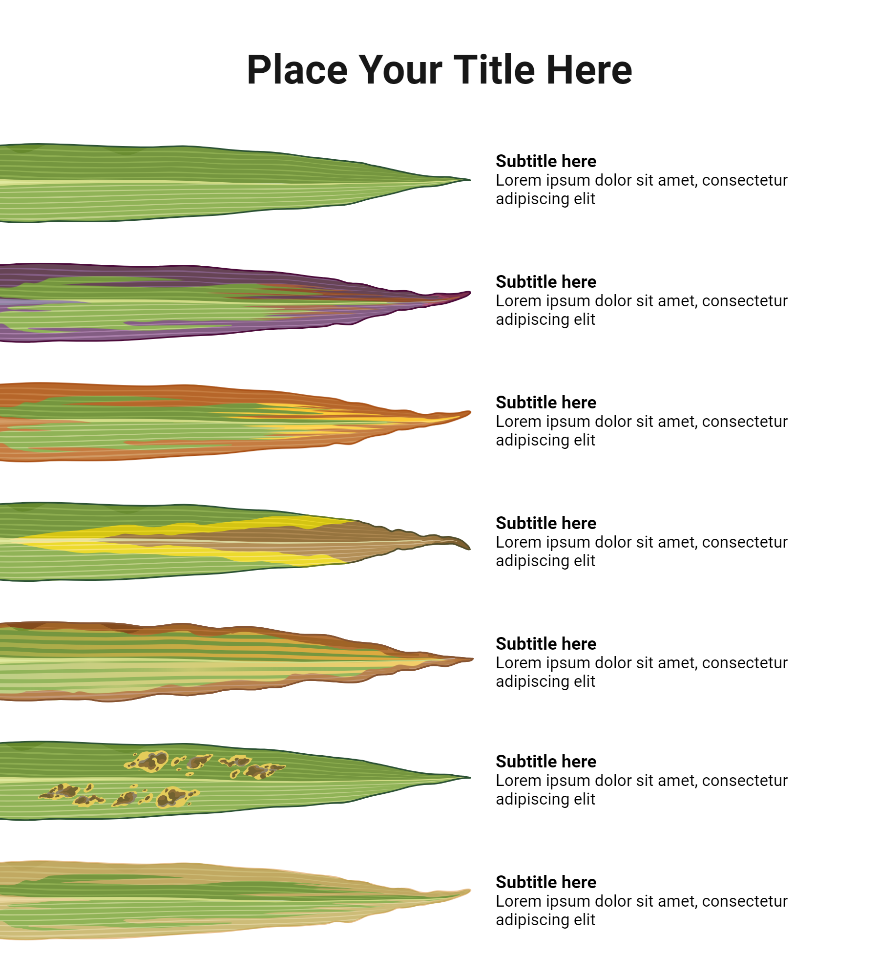 Corn Nutrient Deficiency (Layout) | BioRender Science Templates
