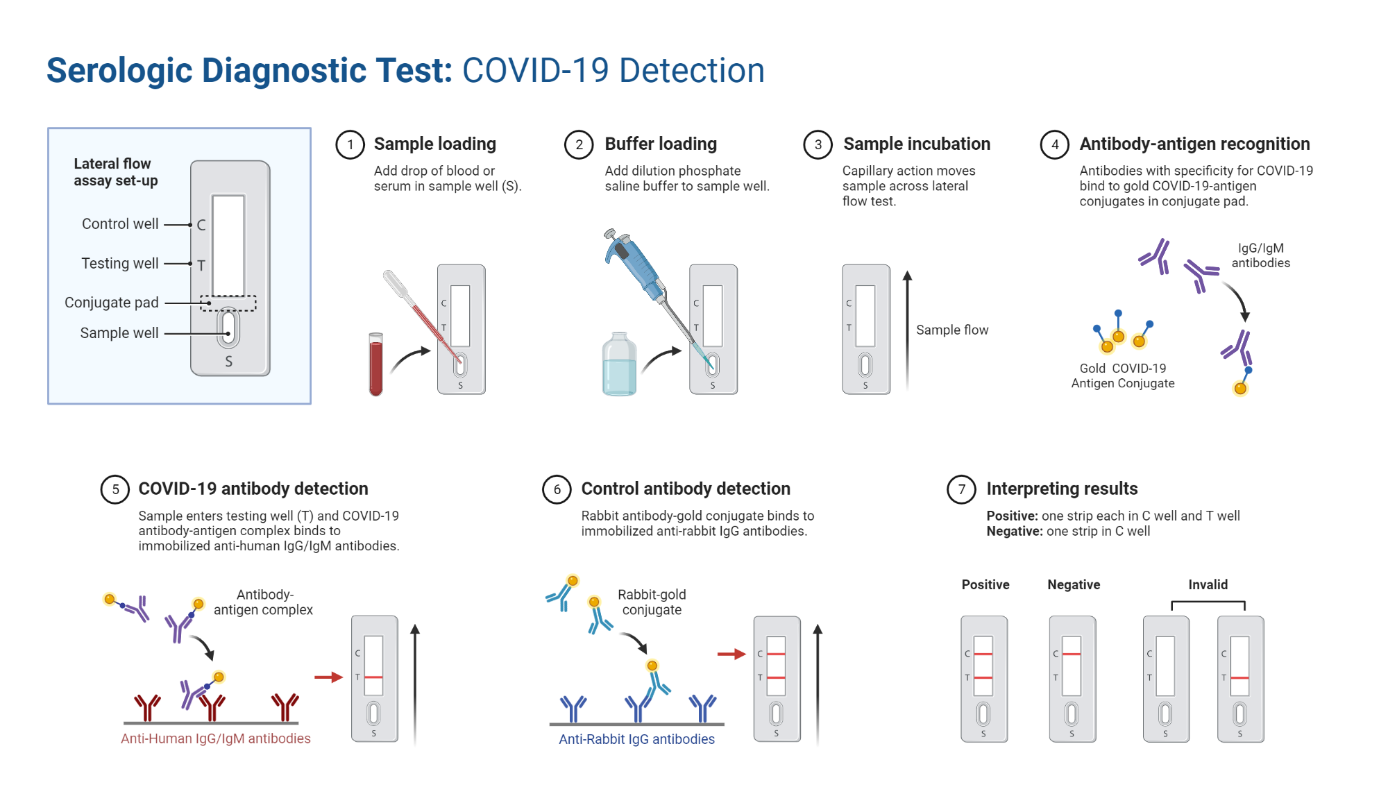 COVID-19 Serologic Diagnostic Test through Antibody Detection ...