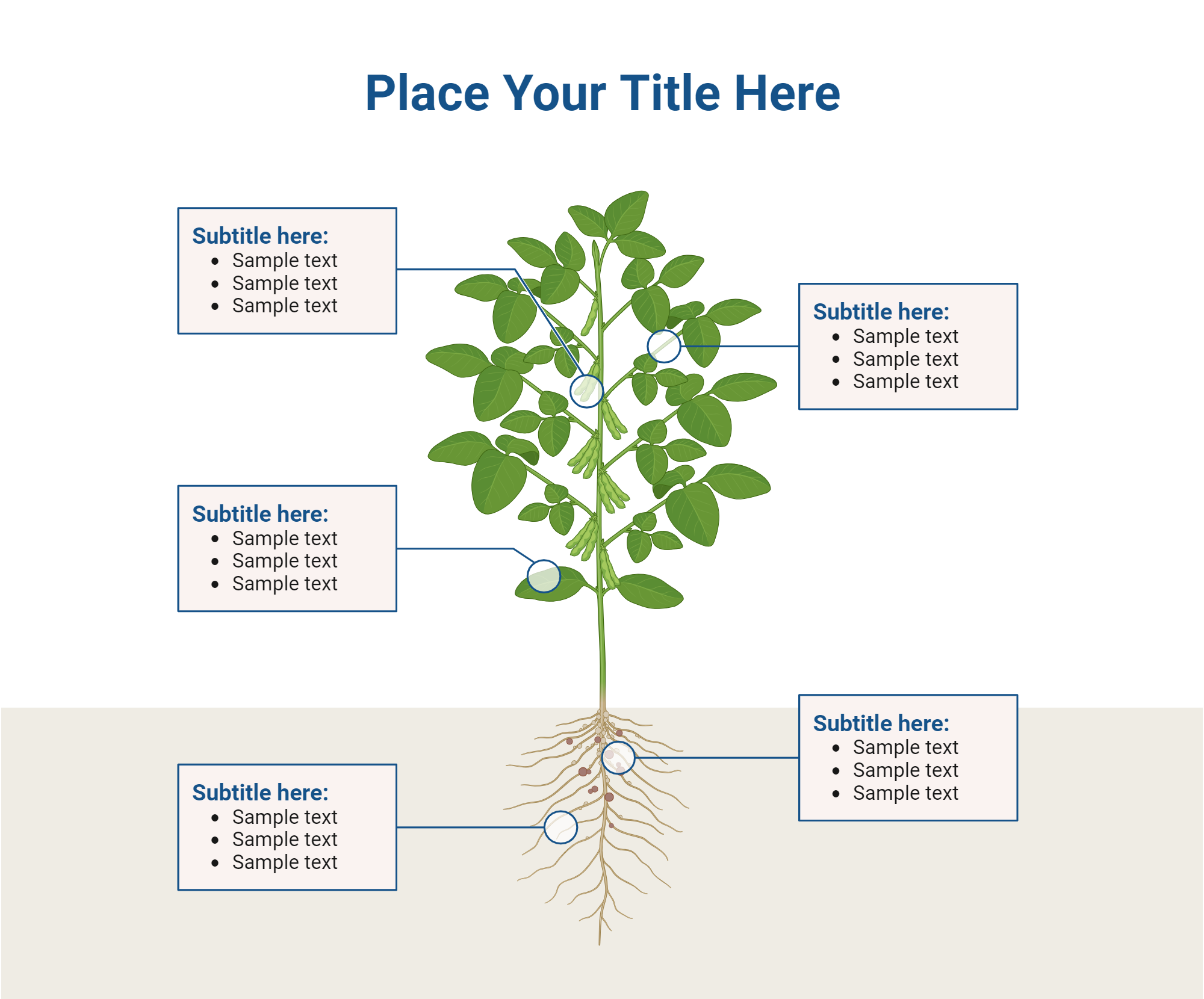 Soybean Plant with Callouts (Layout) | BioRender Science Templates