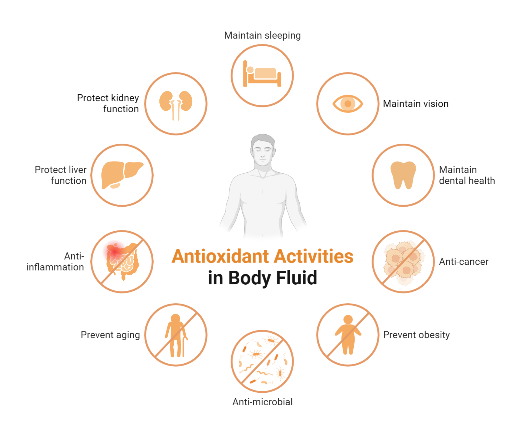 Antioxidants Activities in Body Fluid | BioRender Science Templates
