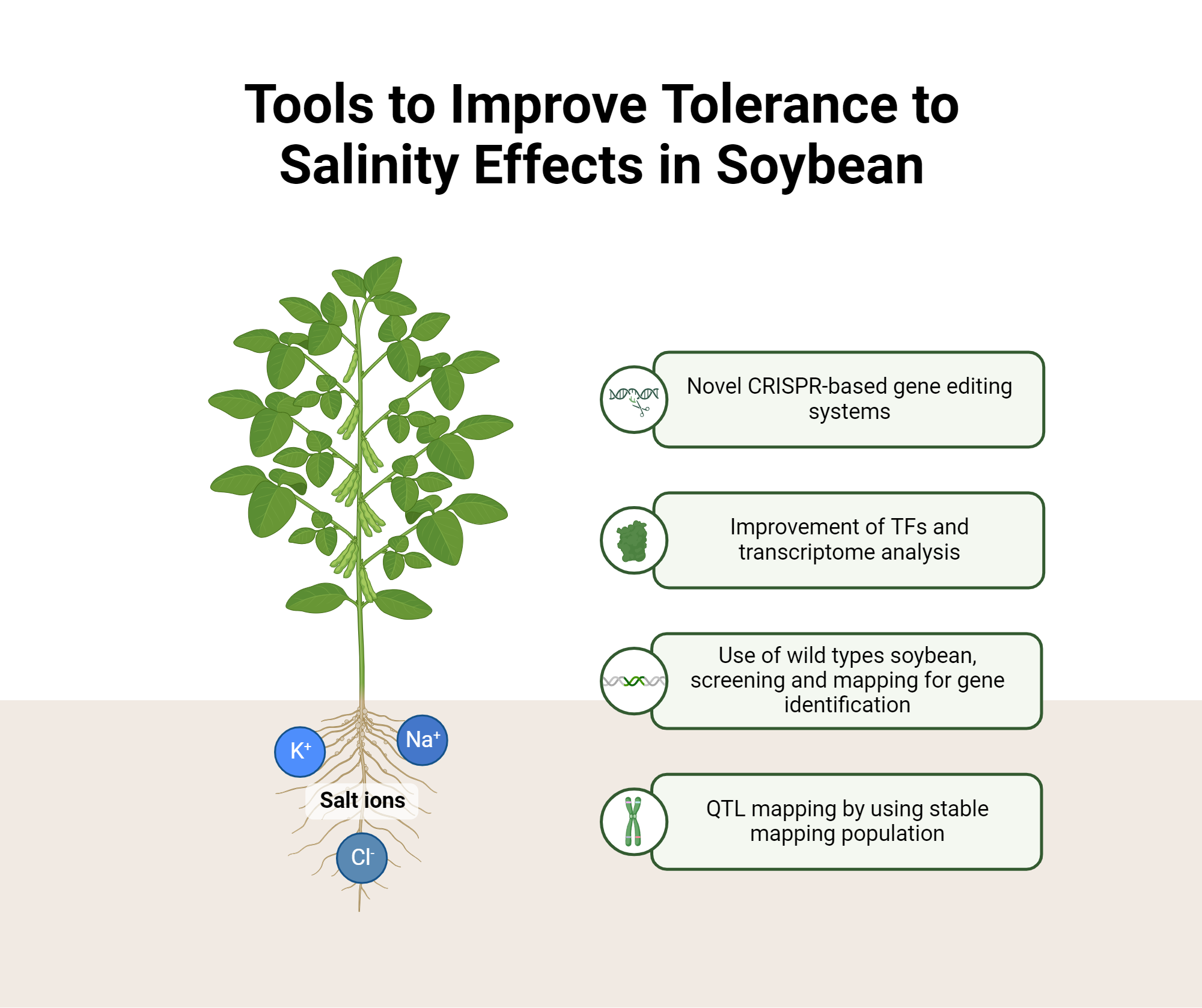 Tools to Improve Tolerance to Salinity Effects in Soybean | BioRender ...