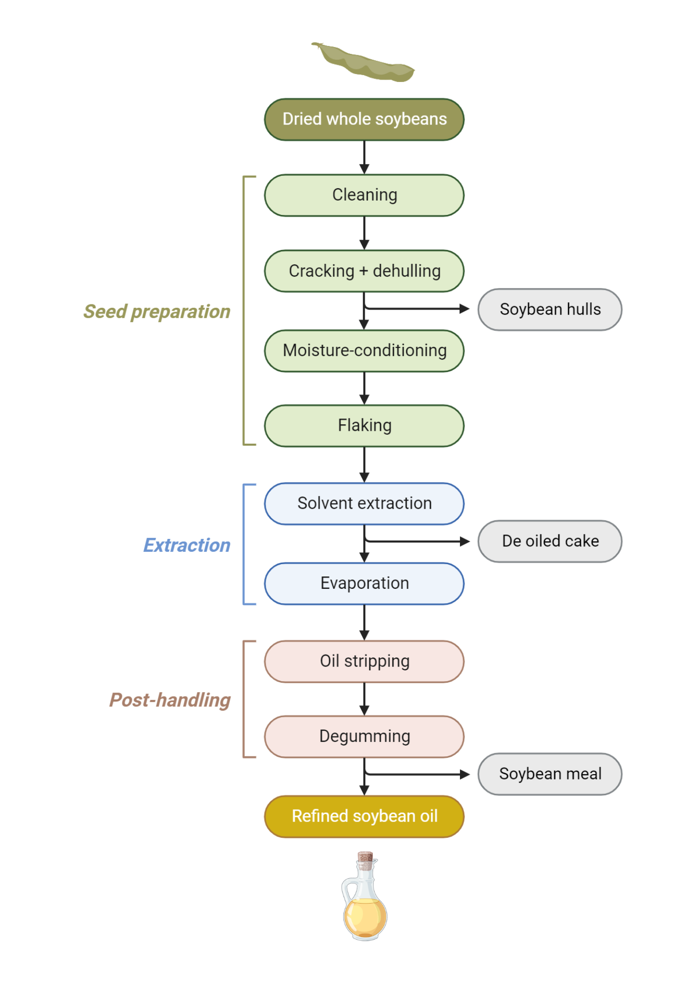 Soybean Oil Production | BioRender Science Templates