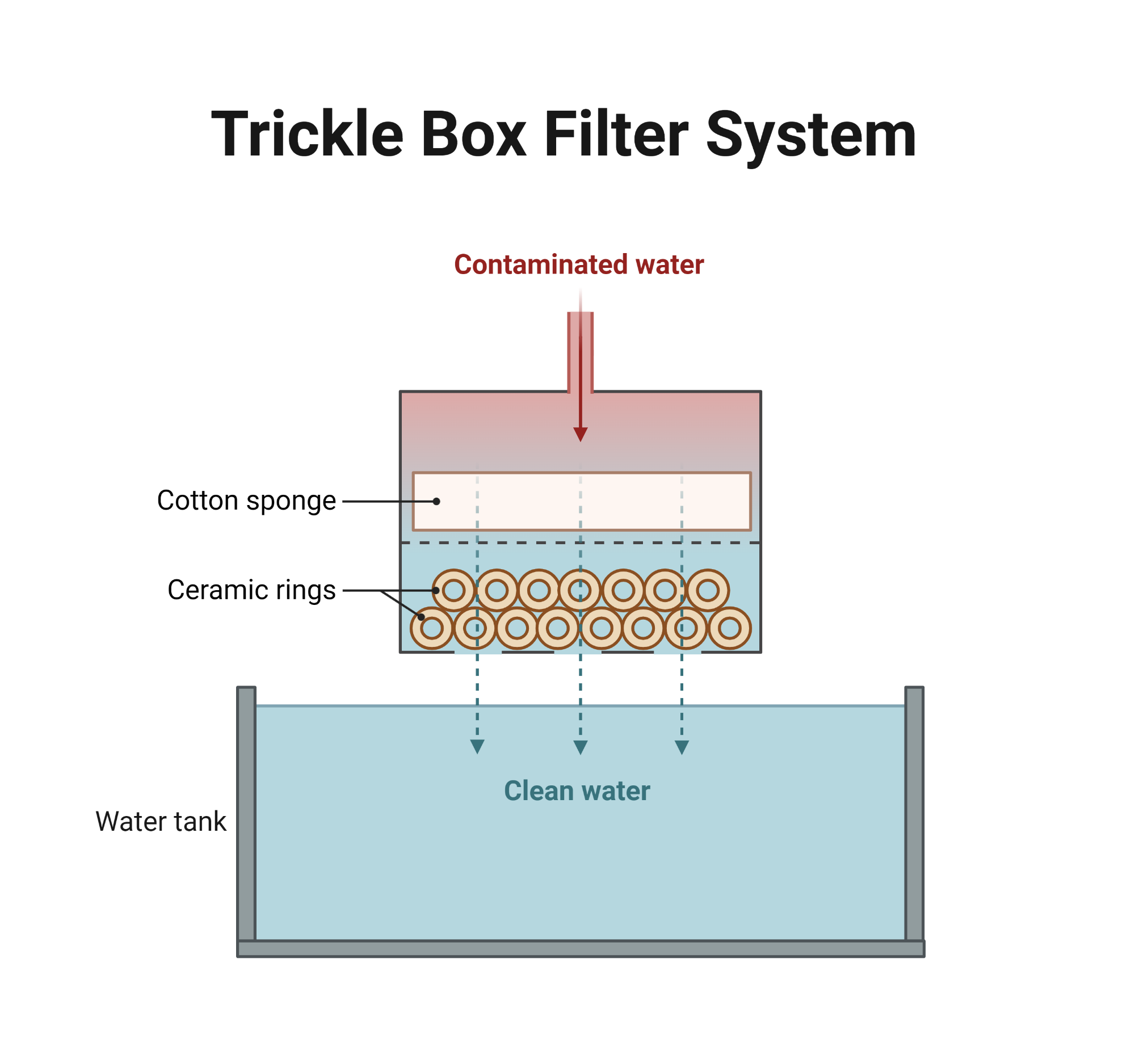 Trickle Box Filter System | BioRender Science Templates