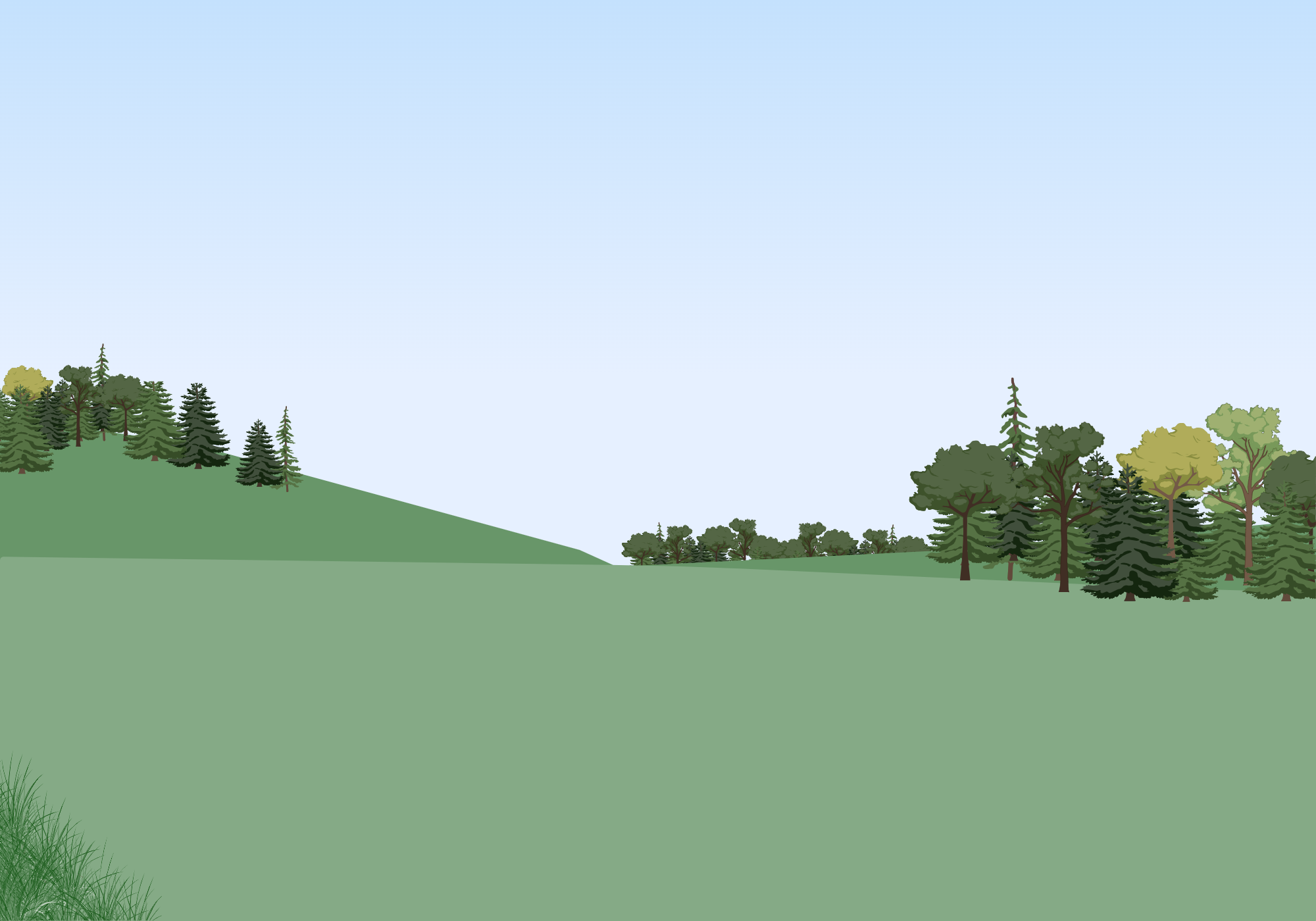 Grassland Background (Layout) | BioRender Science Templates