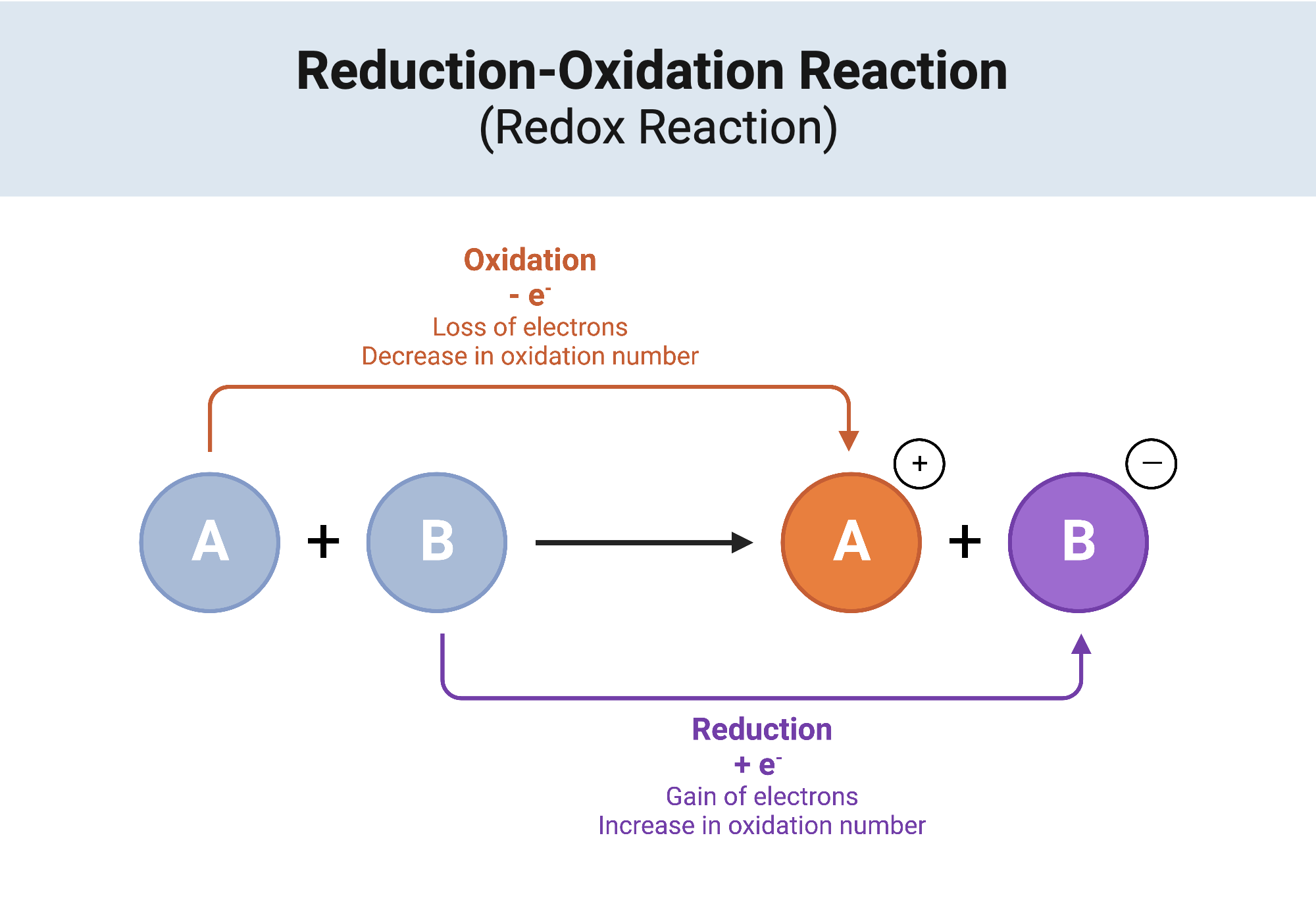 Reduction Oxidation Reaction Redox Reaction BioRender Science Templates Reduction Oxidation Reaction Redox Reaction BioRender Science Templates