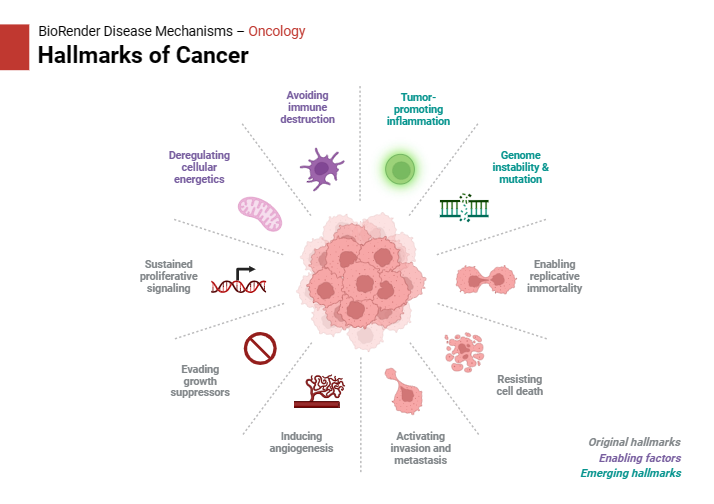 Hallmarks of Cancer (Circle Layout) | BioRender Science Templates