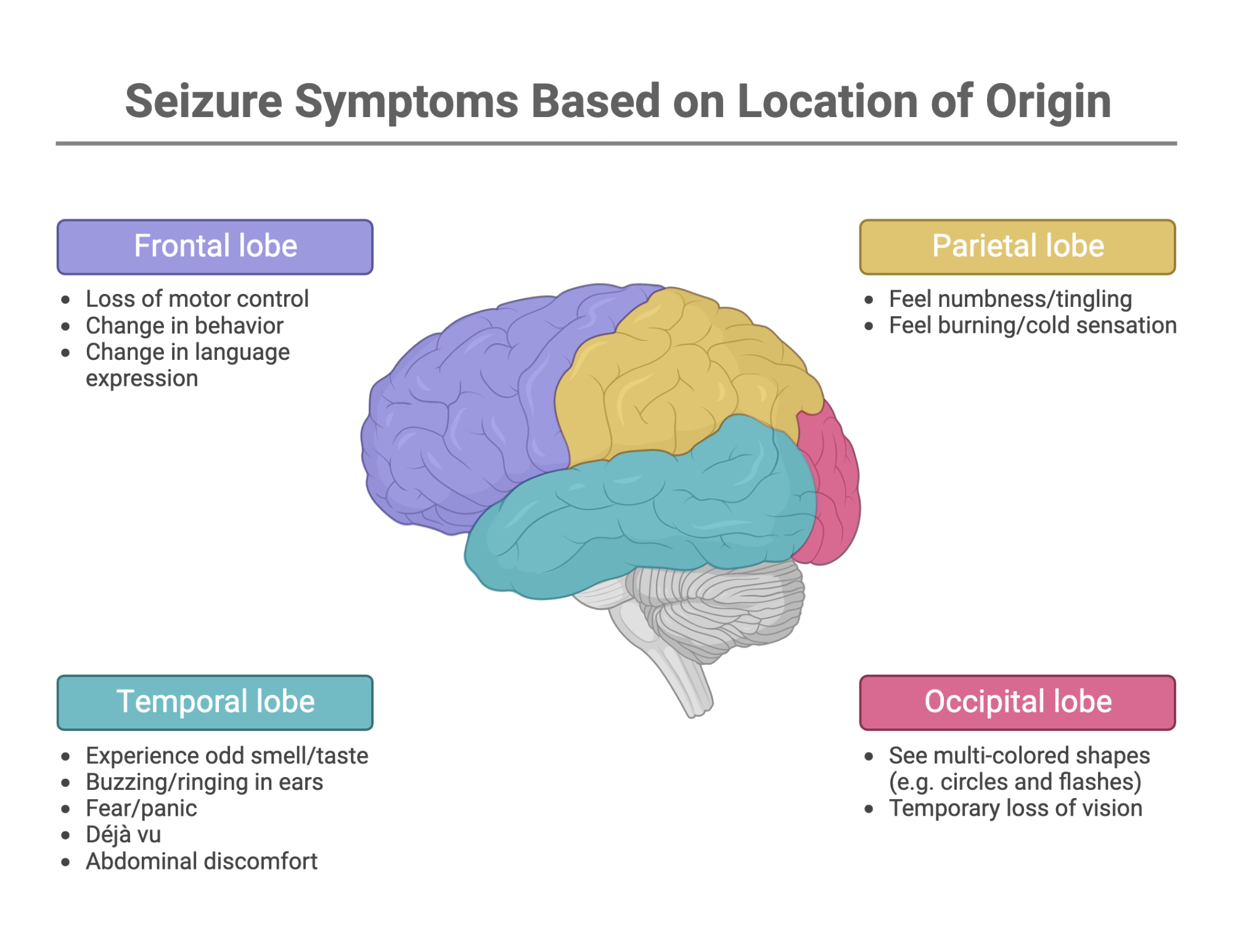 Seizure Symptoms Based on Location of Origin | BioRender Science Templates
