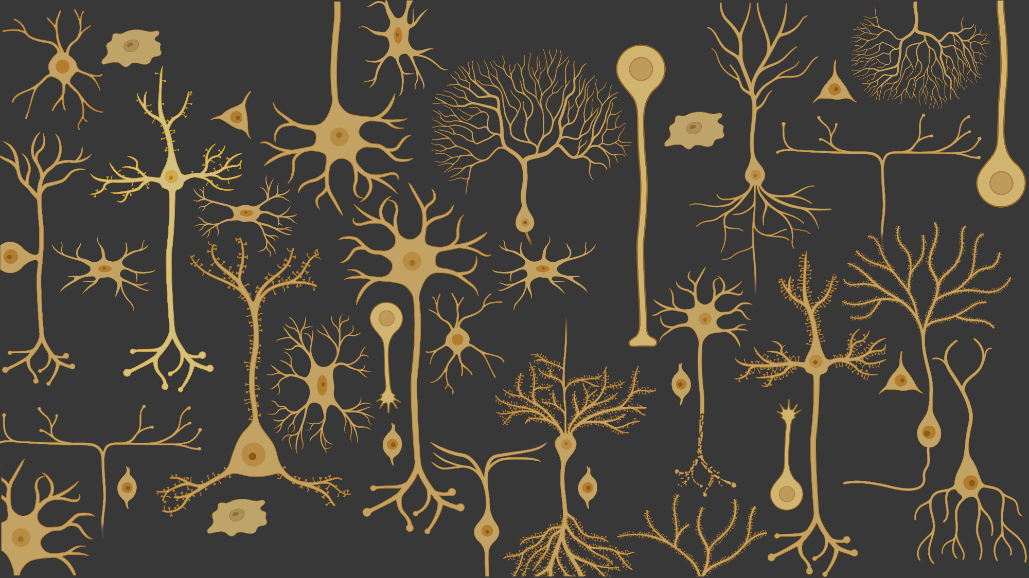 Virtual Background - Neurons | BioRender Science Templates