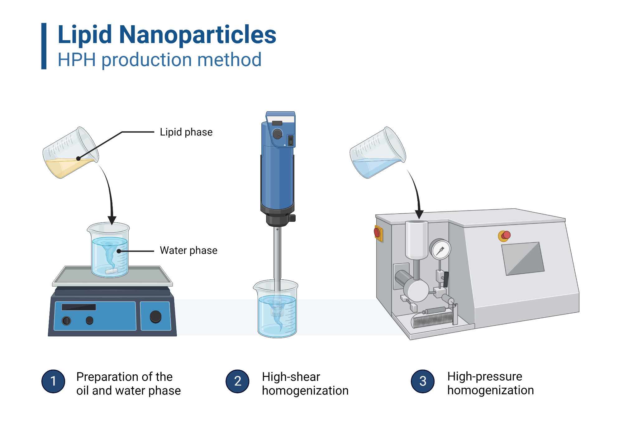 Production of Lipid Nanoparticles by High-Pressure Homogenization ...