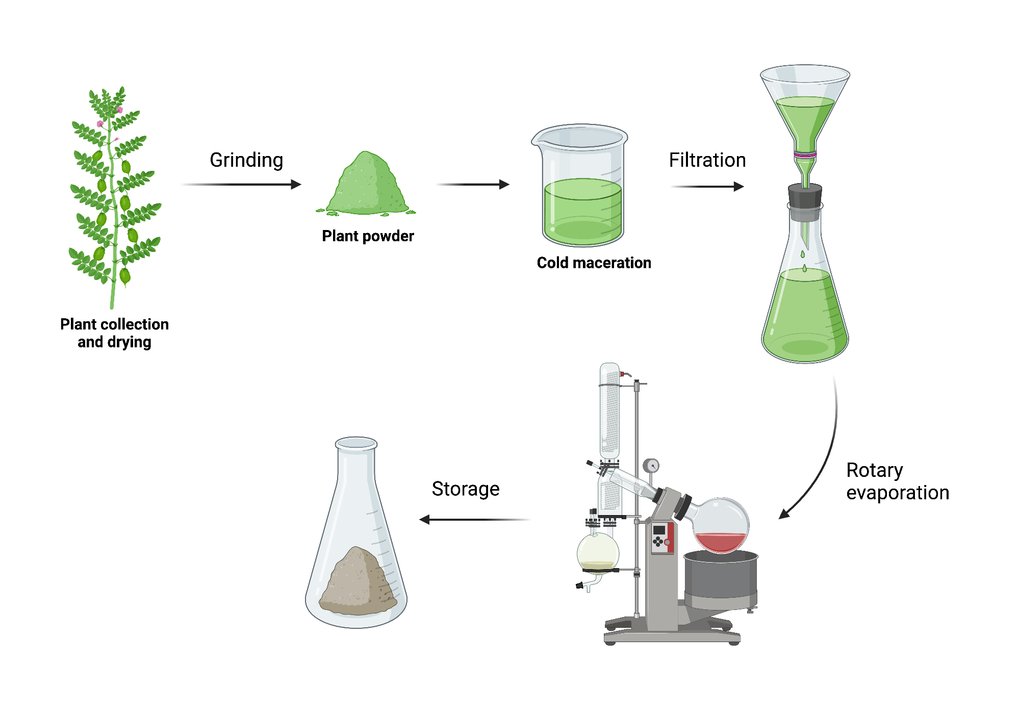 Plant Phytochemical Extraction Biorender Science Templates