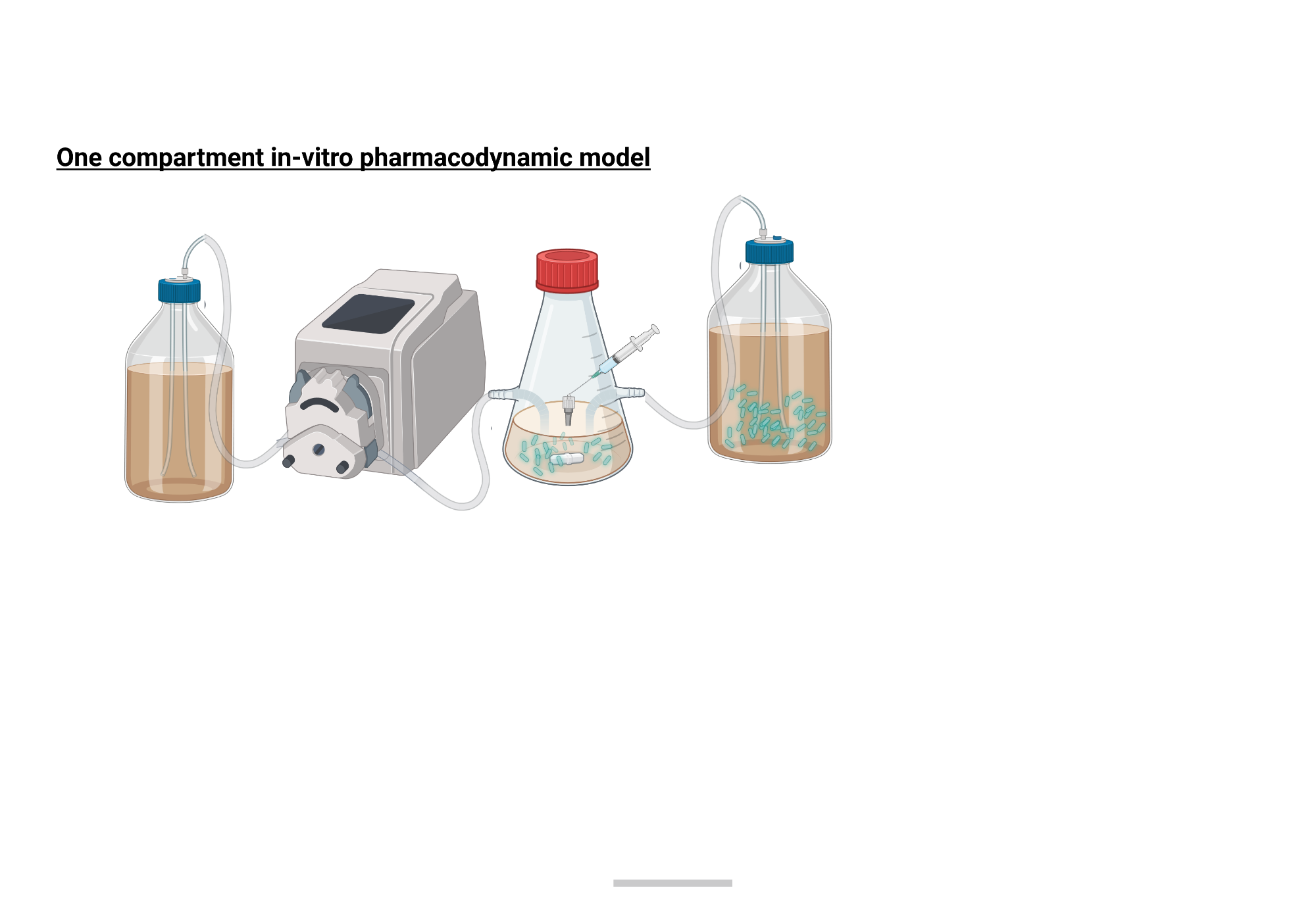 One compartment in-vitro pharmacodynamic model. | BioRender Science ...