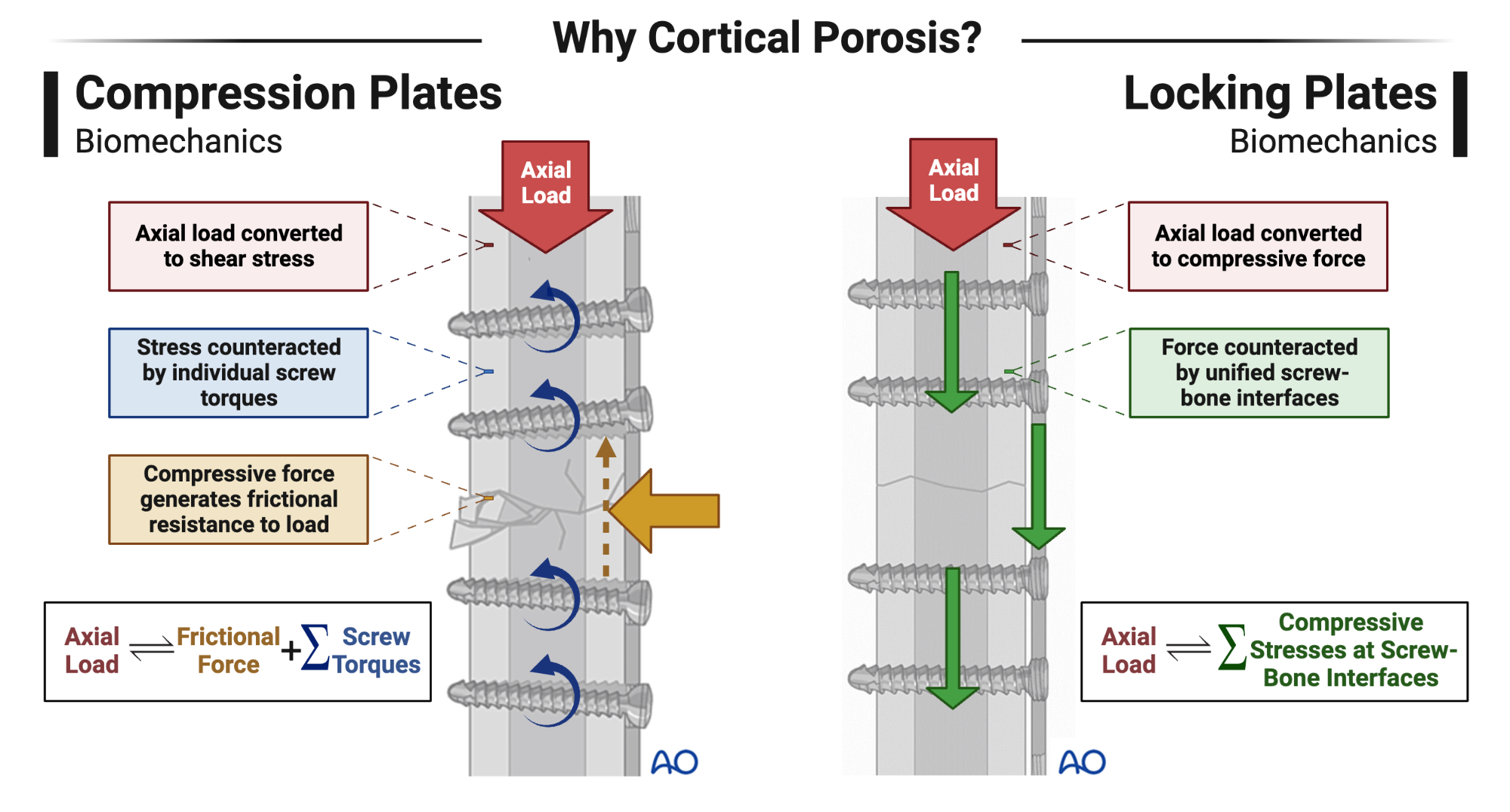 DCP vs. LP Mechanics | BioRender Science Templates
