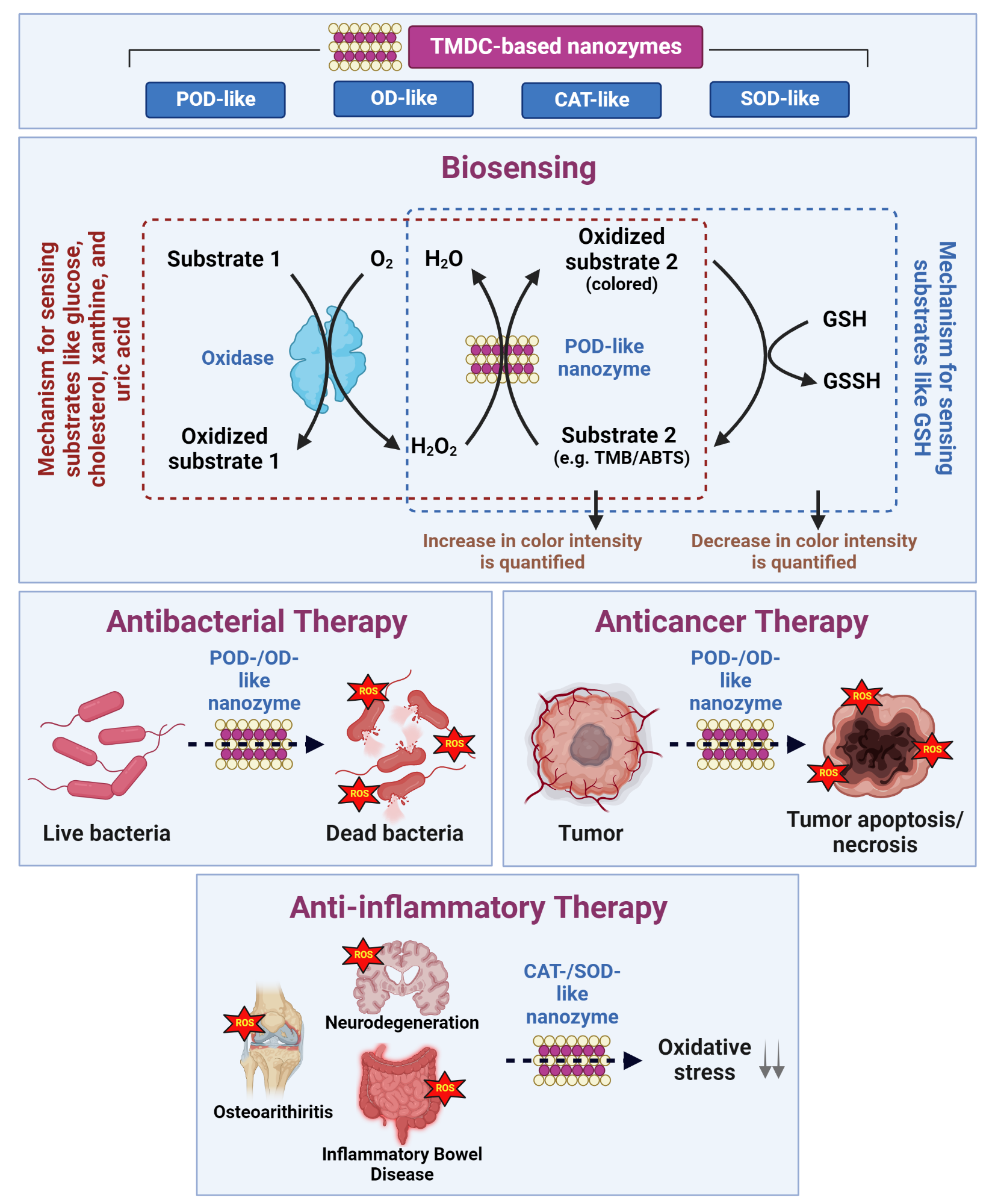 TMDC based nanozymes | BioRender Science Templates