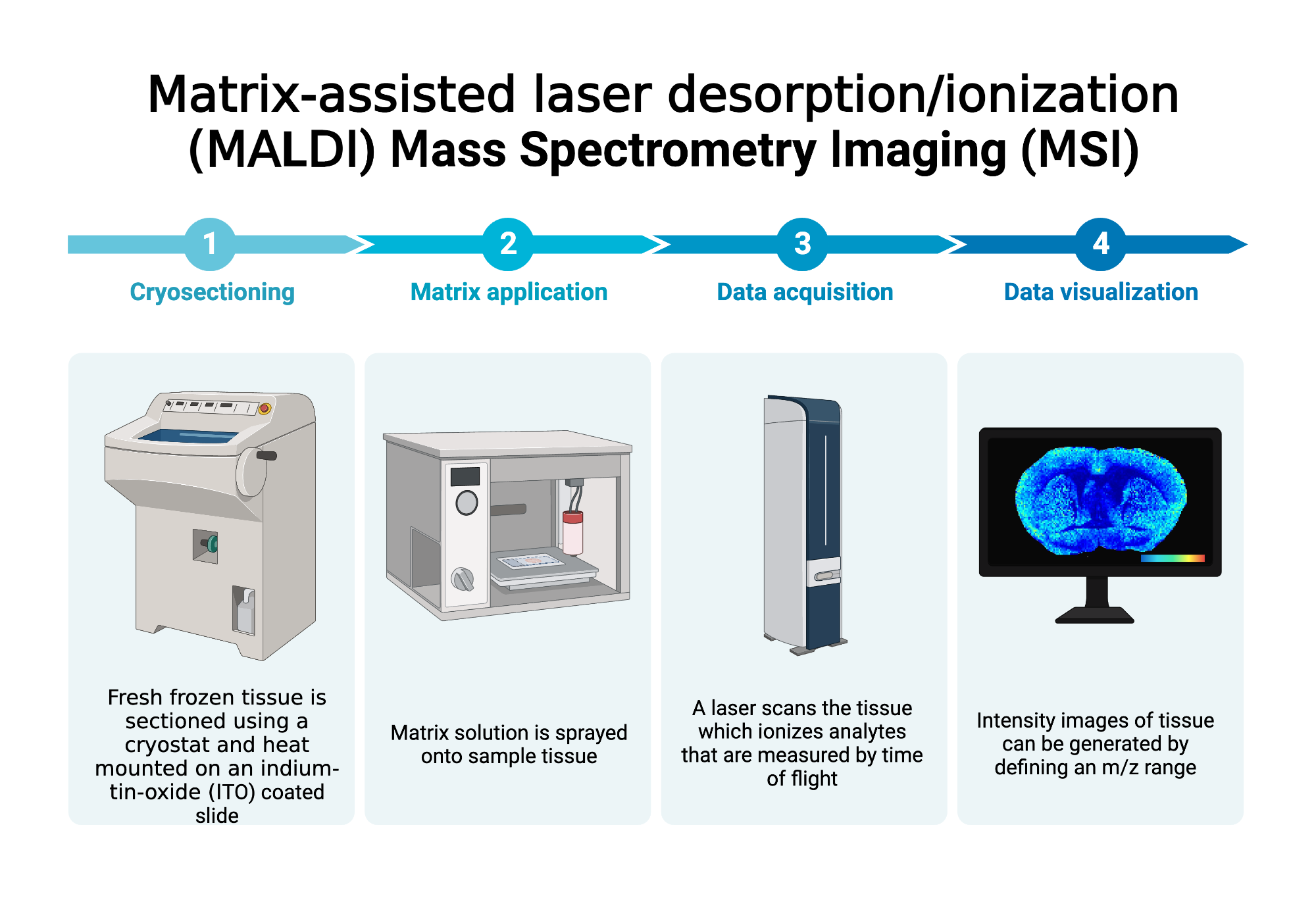 Maldi Tof Mass Spectroscopy