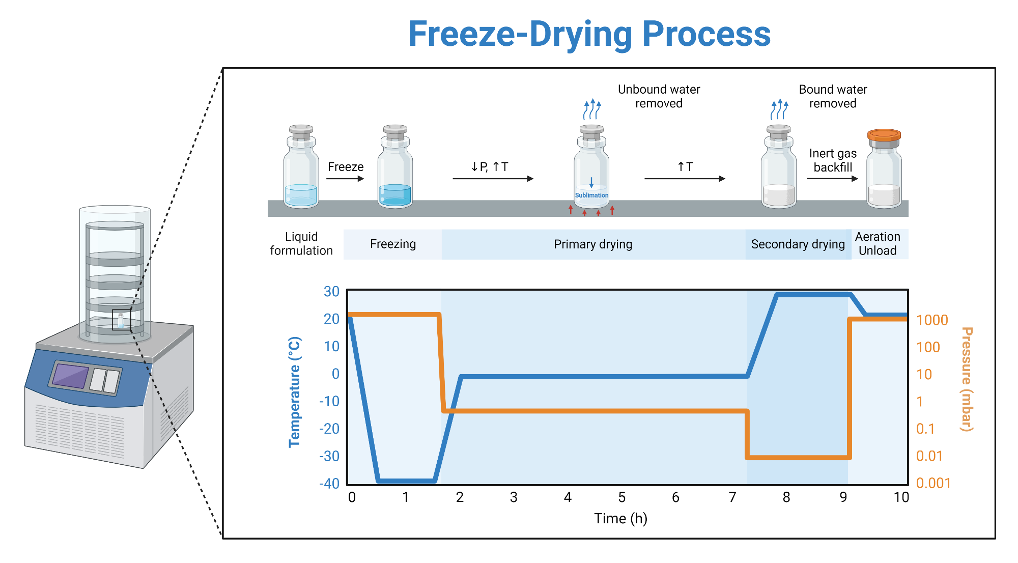 Freeze-Drying Process (Lyophilization) | BioRender Science Templates