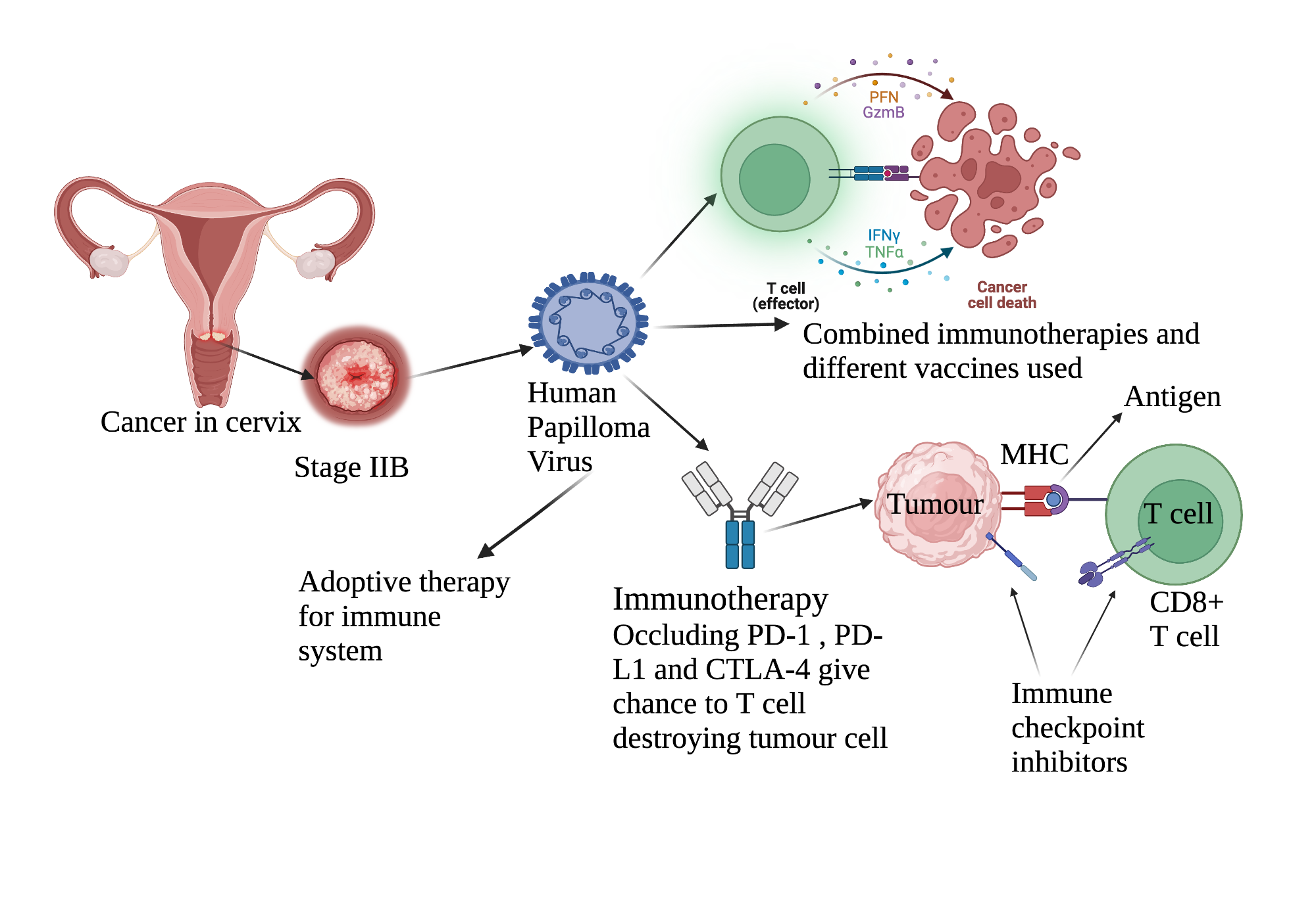 Cervix cancer with various immunotherapies and different checkpoint ...