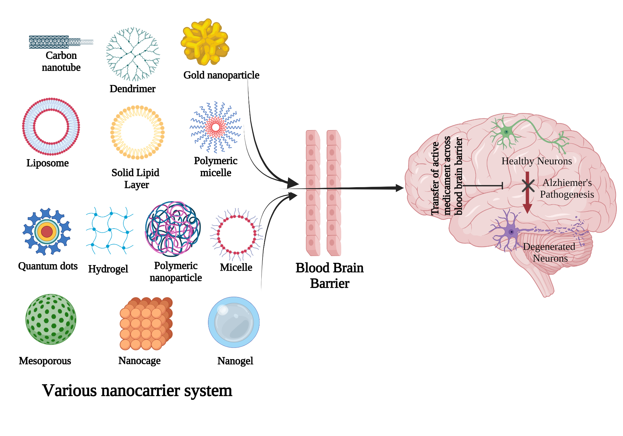 Nanocarrier system | BioRender Science Templates