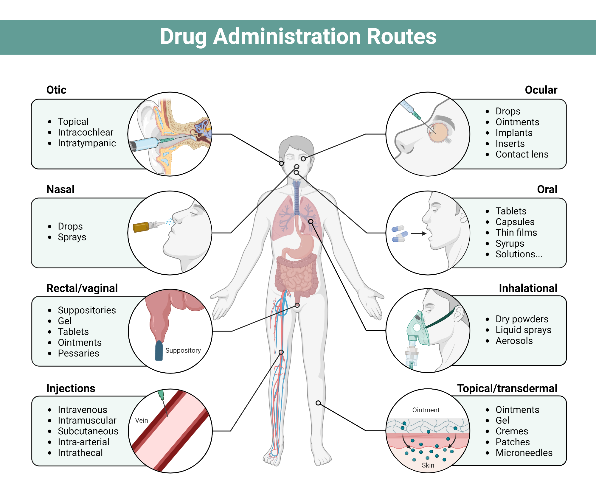 Drug Administration Routes BioRender Science Templates