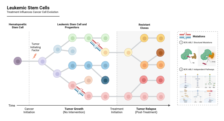 Leukemic Stem Cells Clonal Evolution | BioRender Science Templates