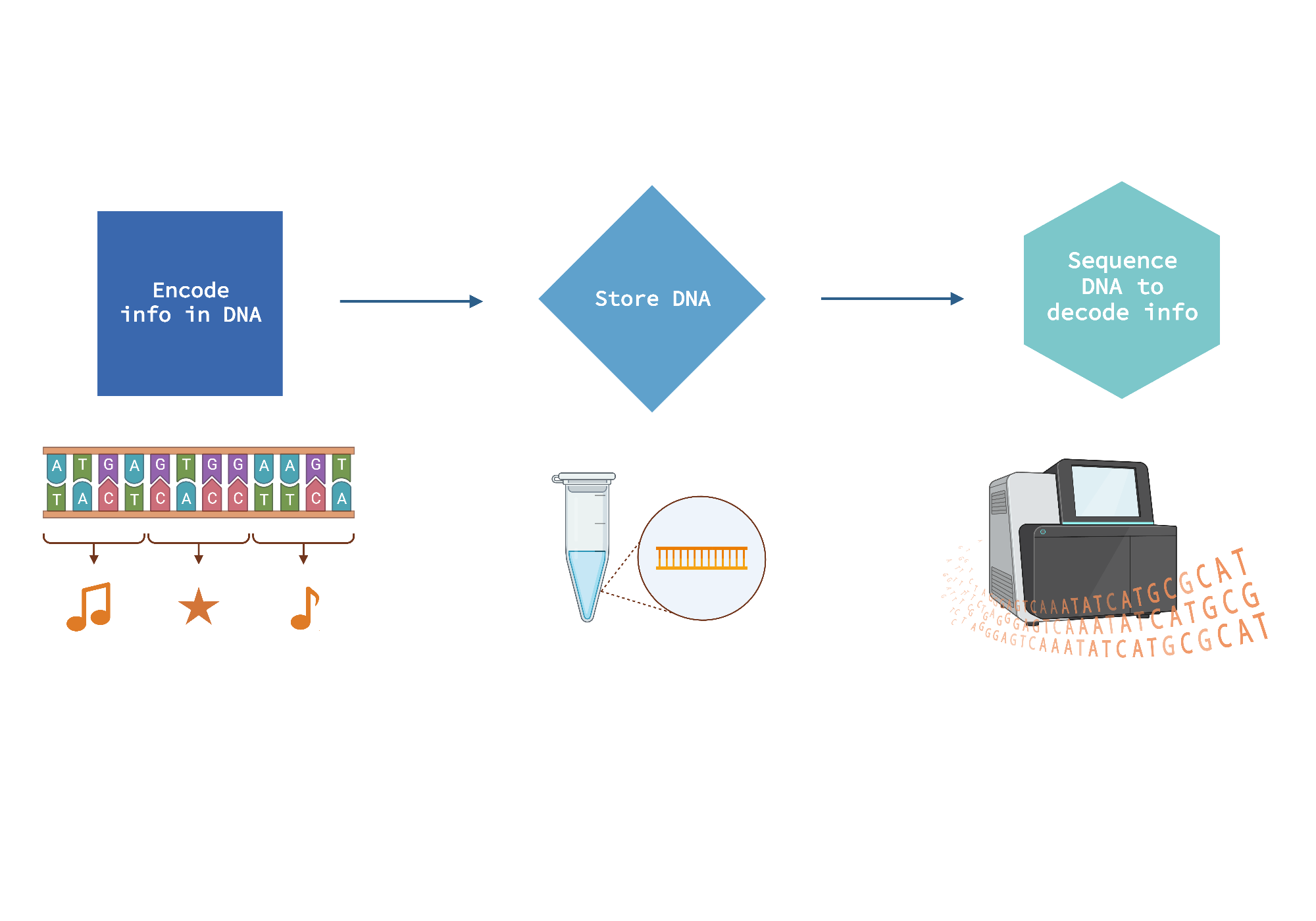 DNA for data storage | BioRender Science Templates