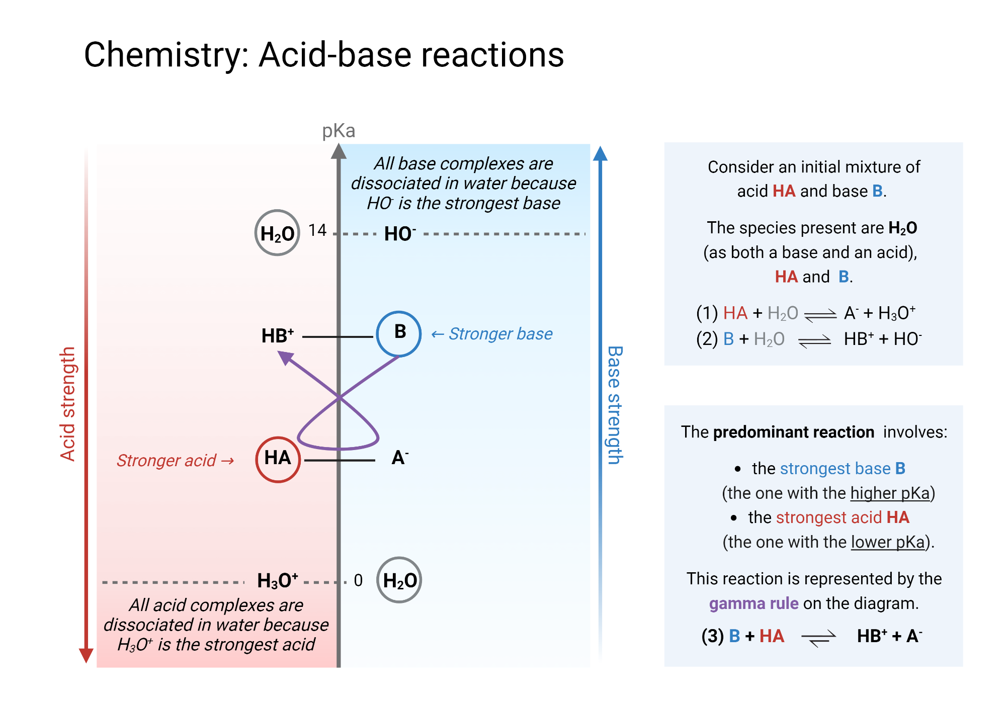 Acid-base reaction | BioRender Science Templates