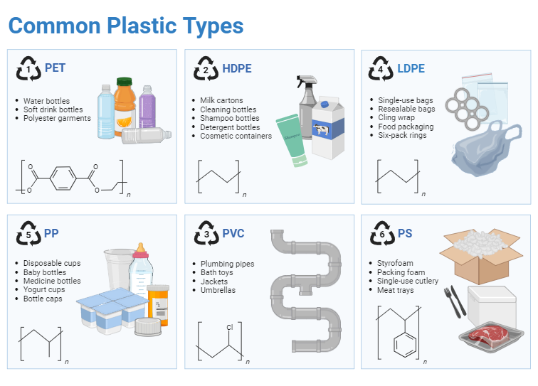Common Types of Plastic | BioRender Science Templates