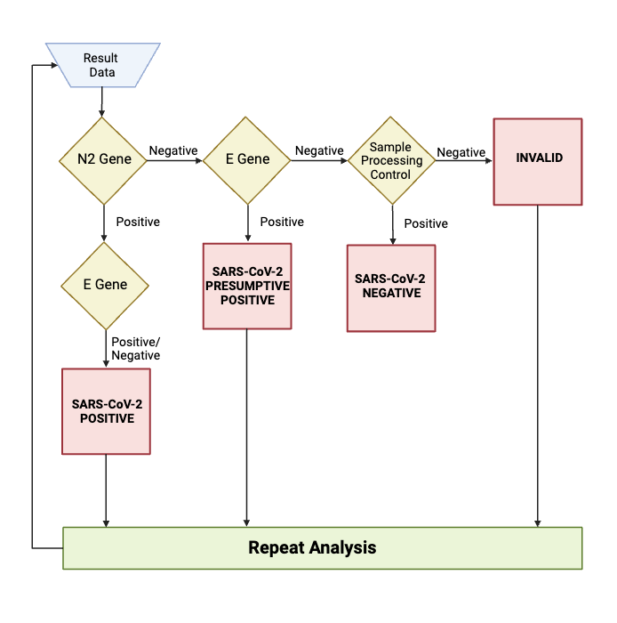 algorithm | BioRender Science Templates