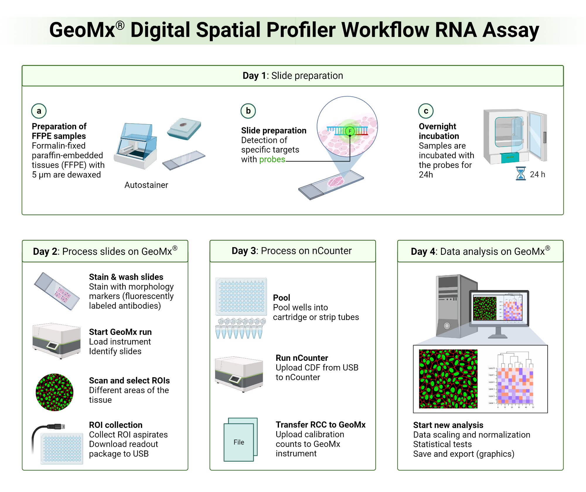 Sequencing Technique GeoMx™ Spatial Analysis of RNA in FFPE Tissue Samples | BioRender Science ...