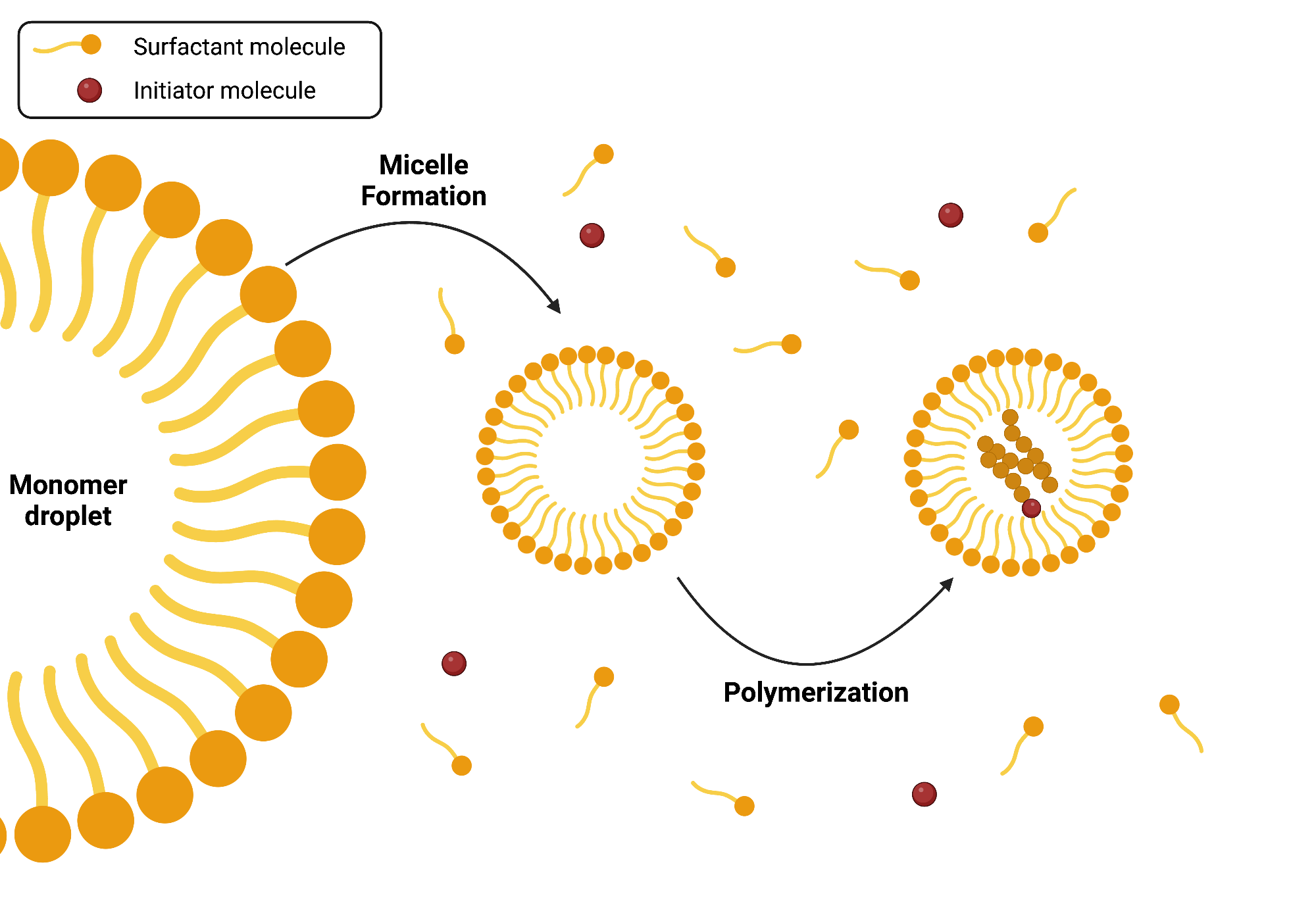 Emulsion Polymerization Biorender Science Templates