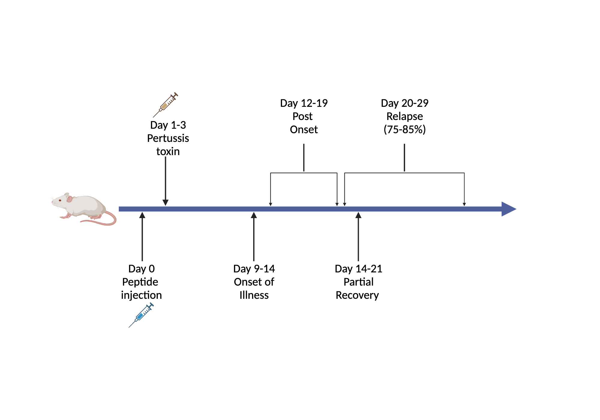 EAE(Experimental Autoimmune Encephalomyelitis) Model | BioRender ...