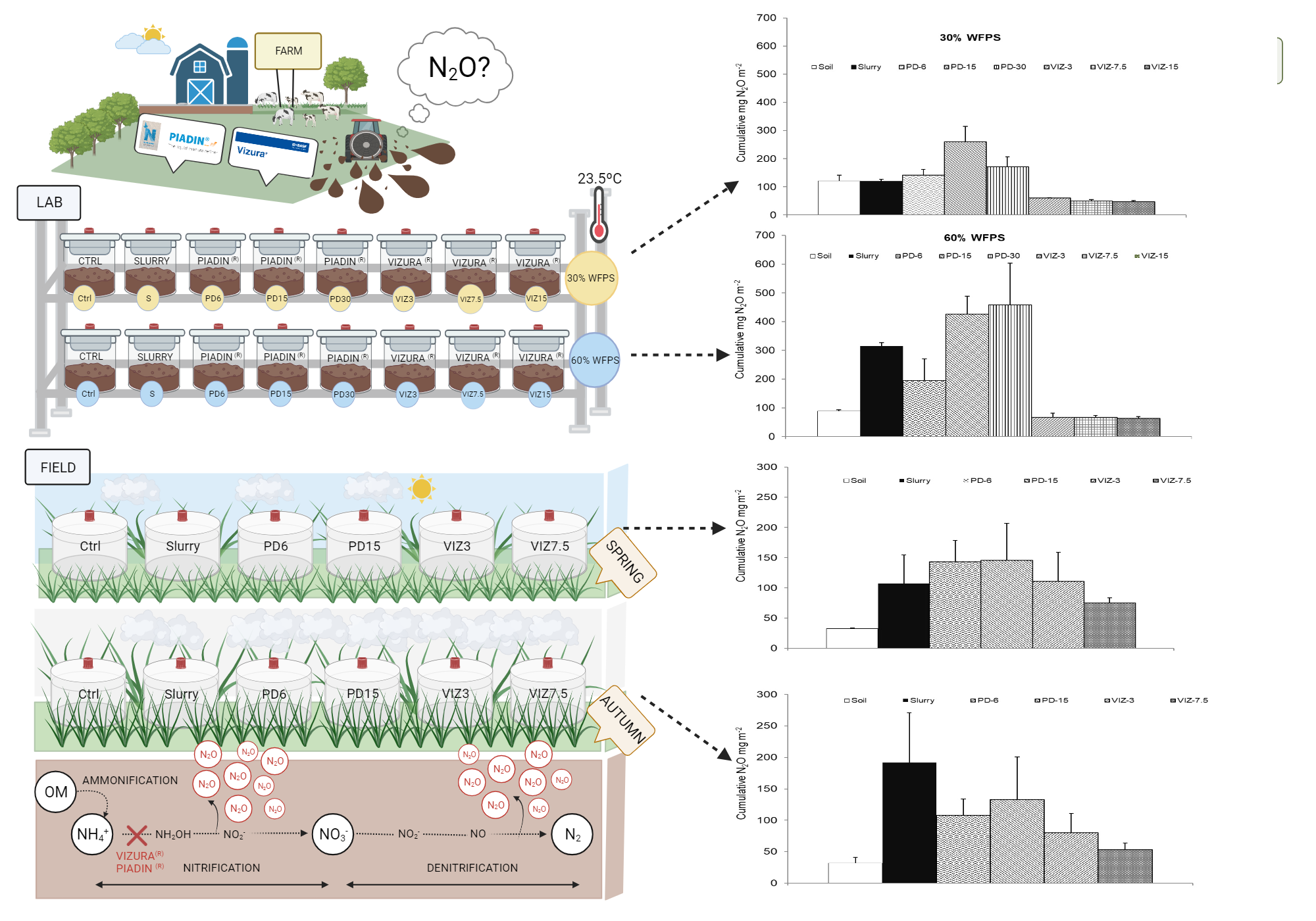 NIN Graphic abstract | BioRender Science Templates