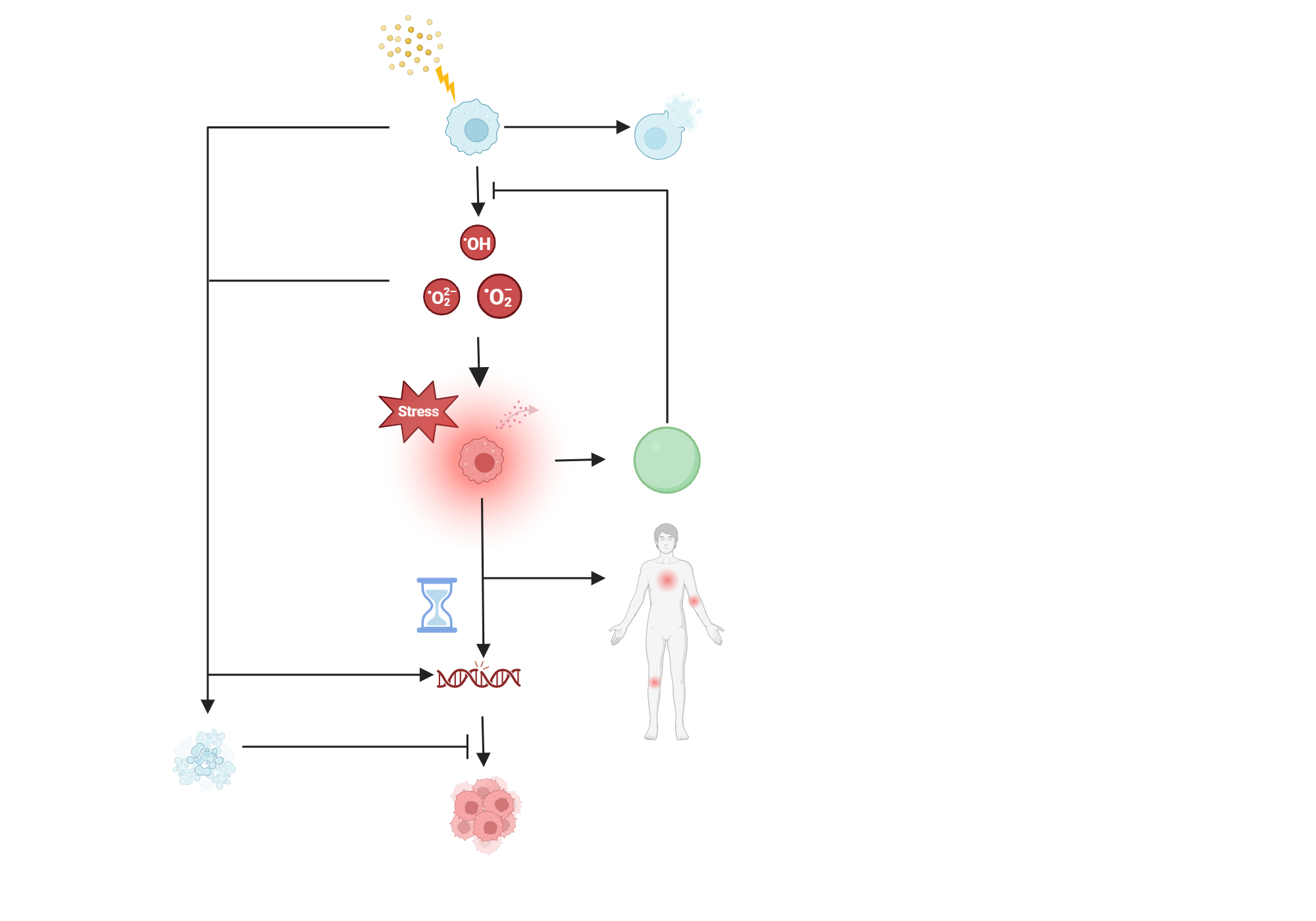 Oxidative stress paradigme | BioRender Science Templates