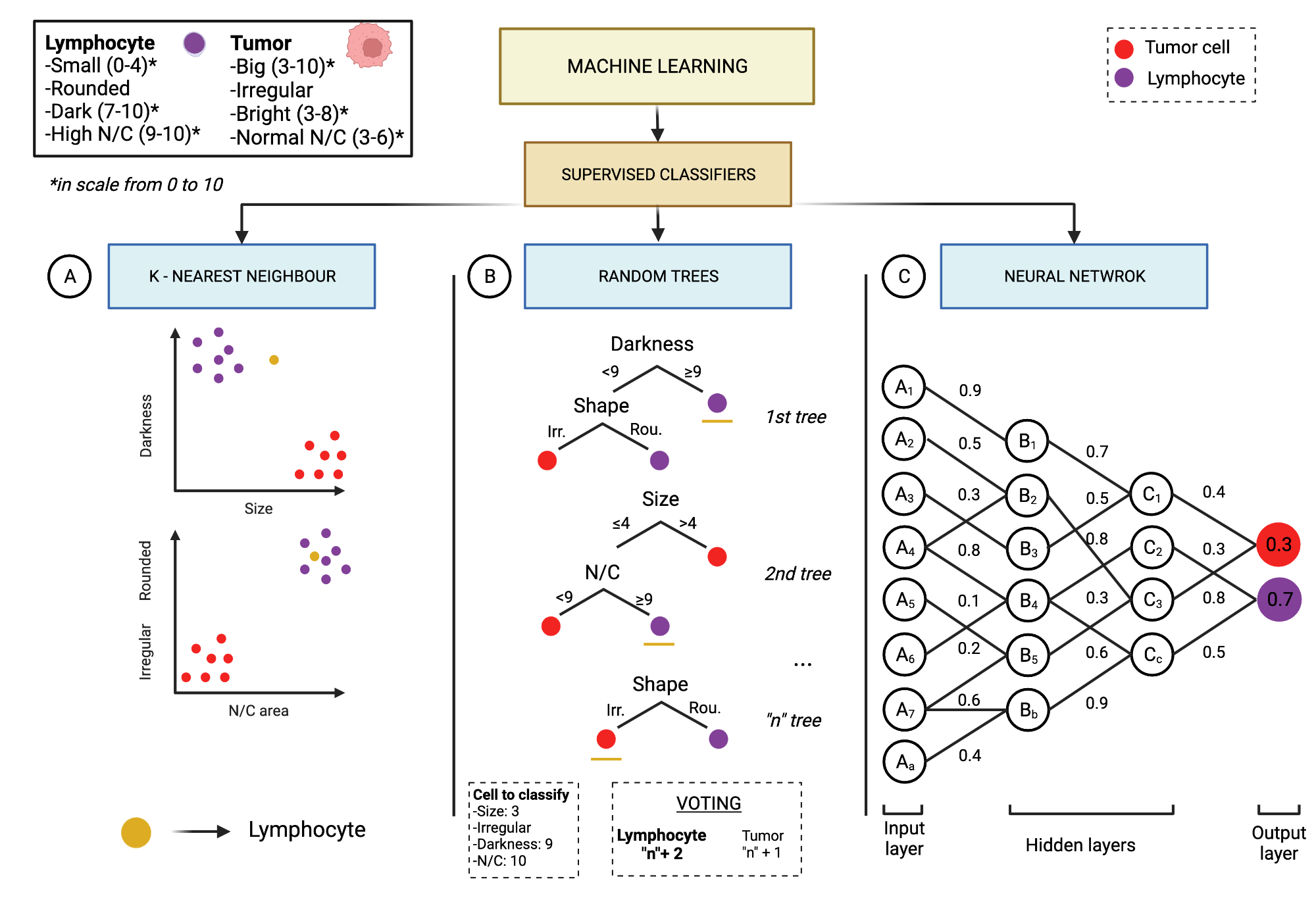 Machine Learning Methods | BioRender Science Templates