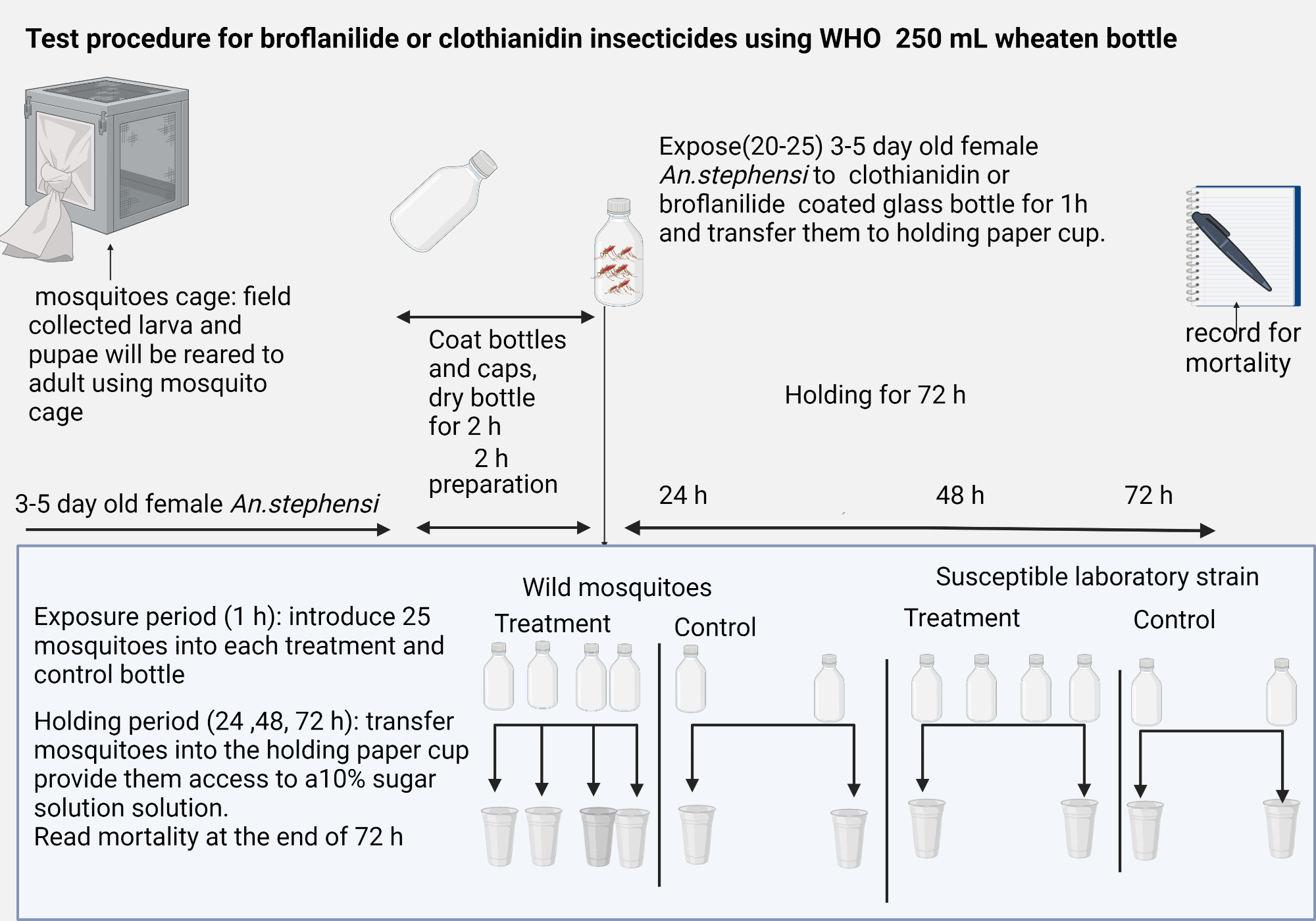 Test procedure for broflanide or clothianidin insecticides using WHO ...