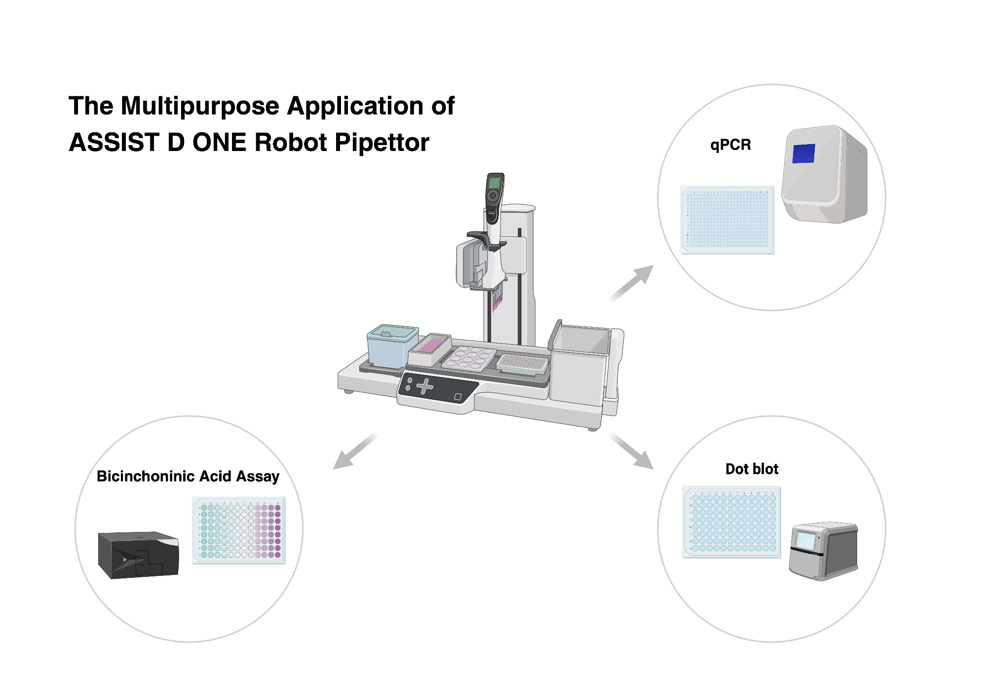 The Multipurpose Application of ASSIST PLUS D-ONE Robot Pipettor ...