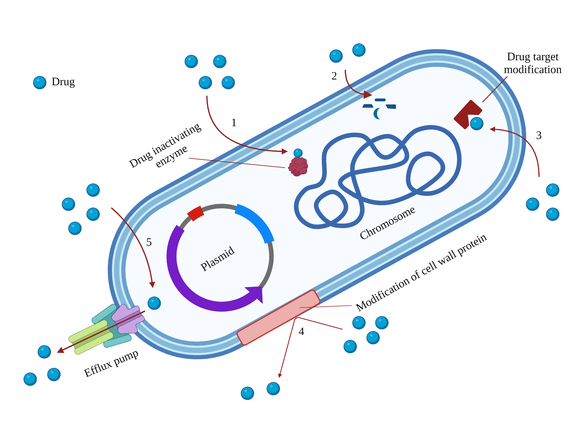 Mechanism of Chemical Resistance in Bacteria | BioRender Science Templates