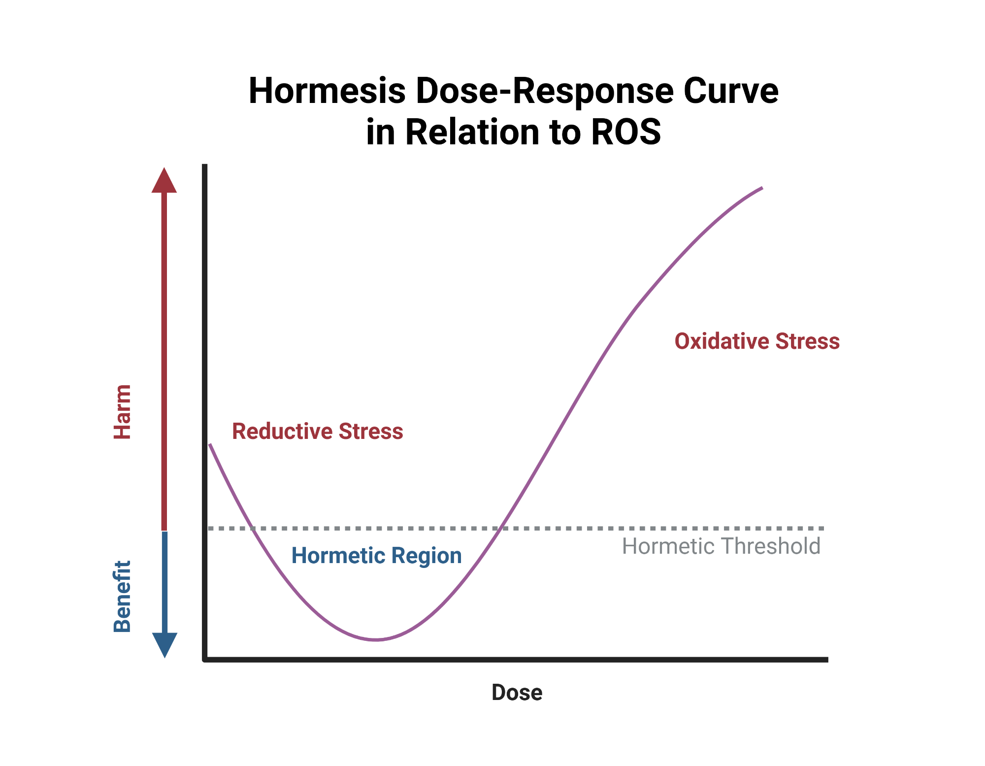 ROS Hormesis Dose-Response Curve | BioRender Science Templates